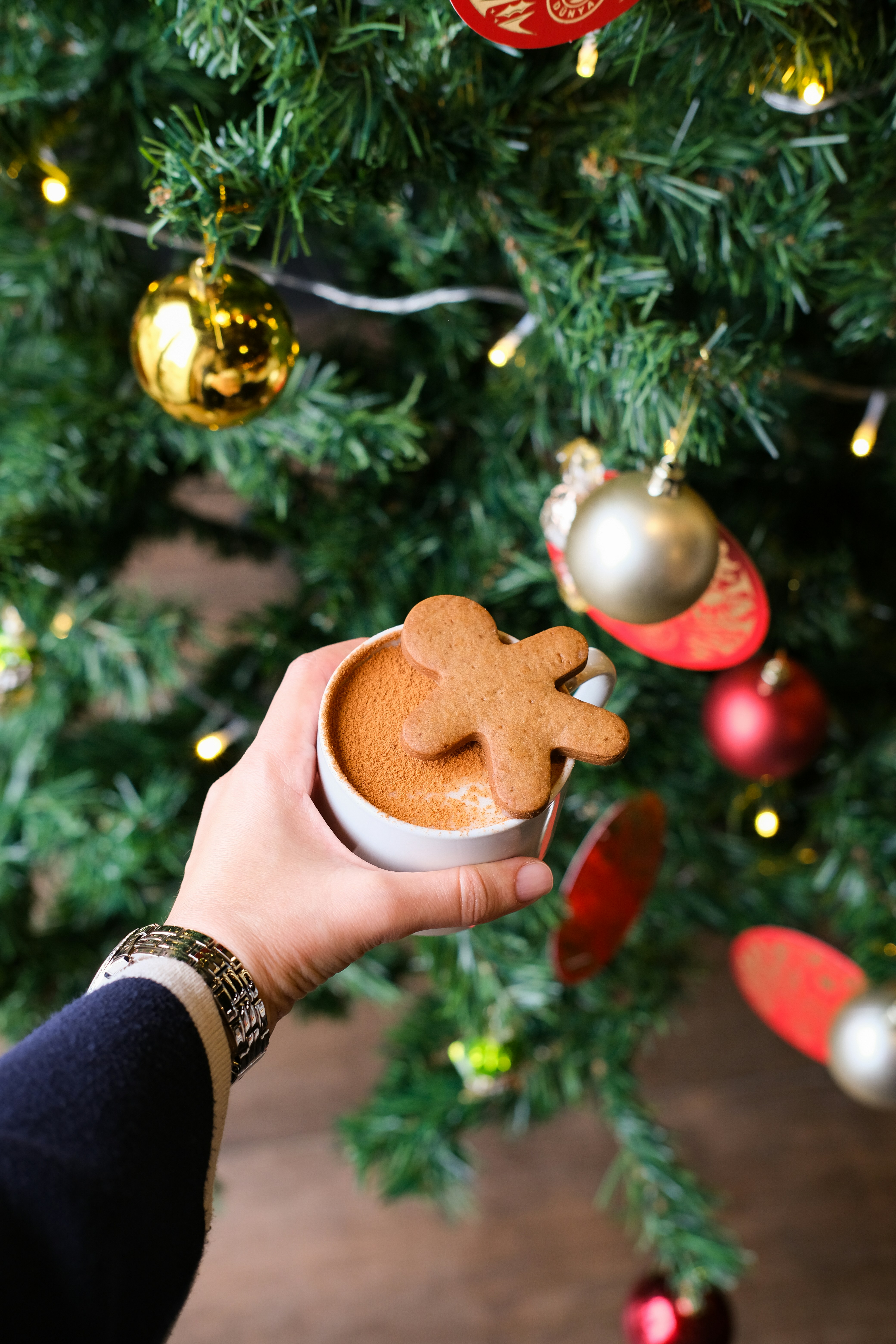 Handful of Holiday Warmth: Cappuccino and a Gingerbread Coin