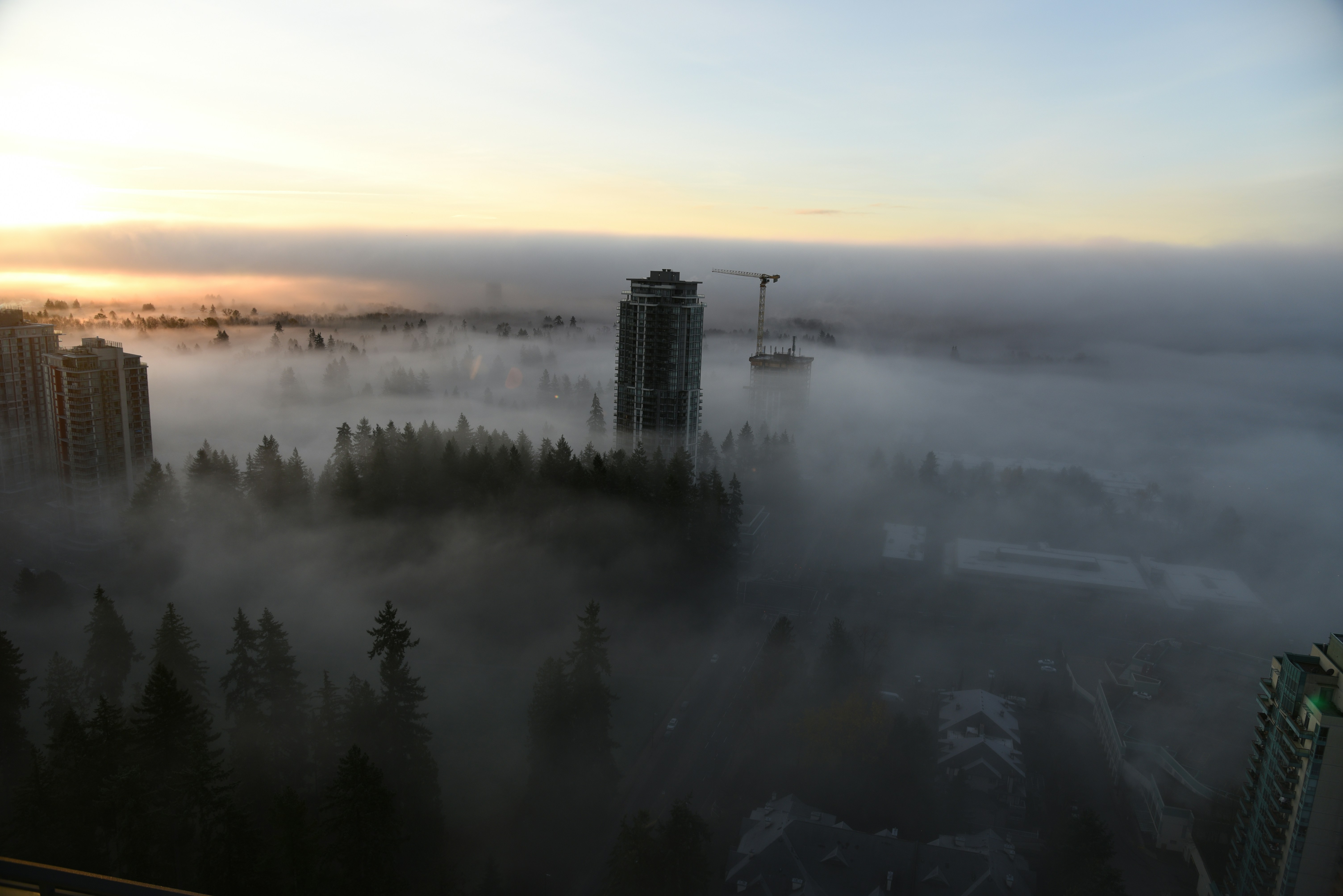 Mist Over Skyscrapers at Dawn