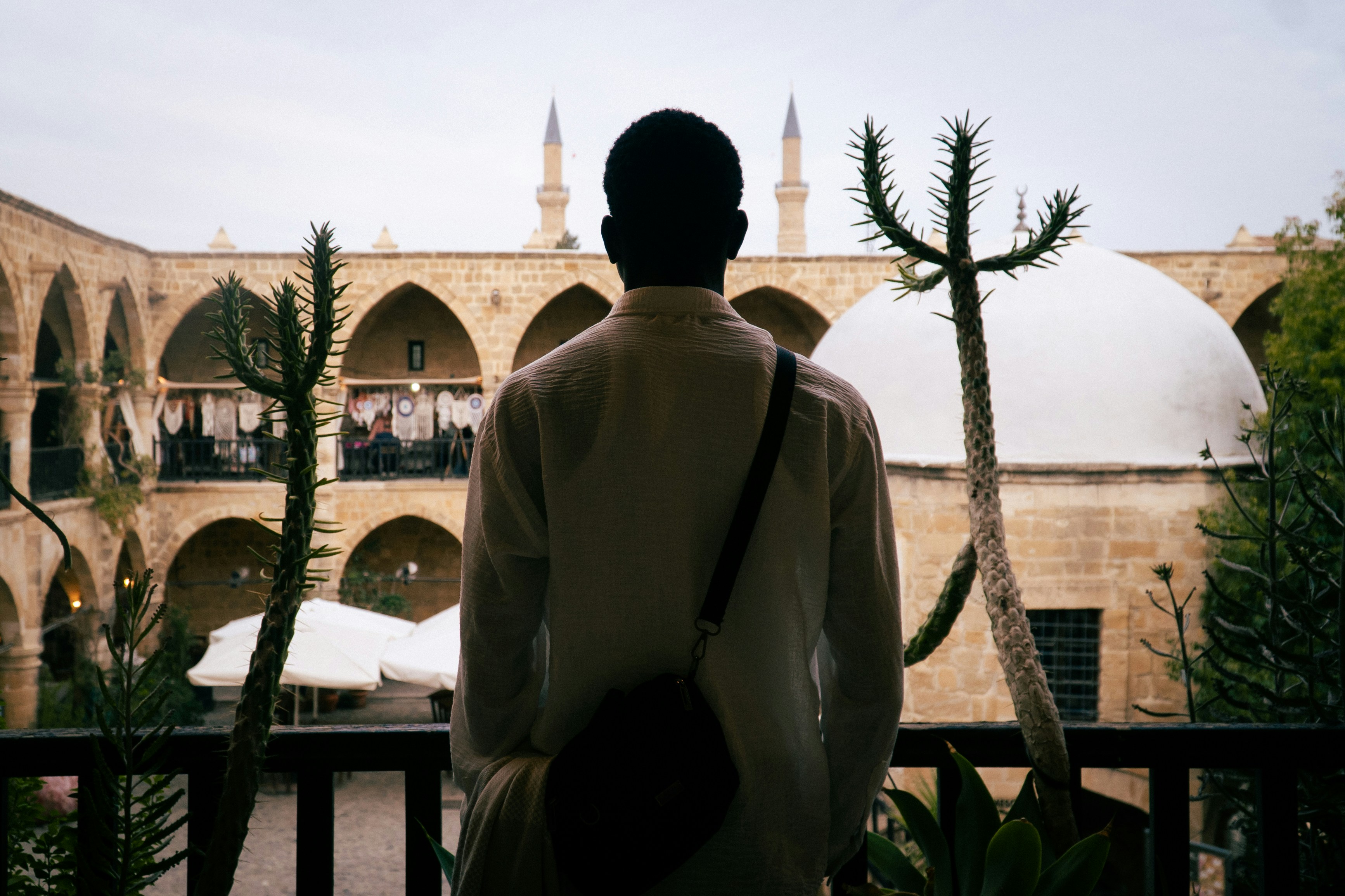 Backlit Traveler Amid Ancient Arches and Spiky Foliage