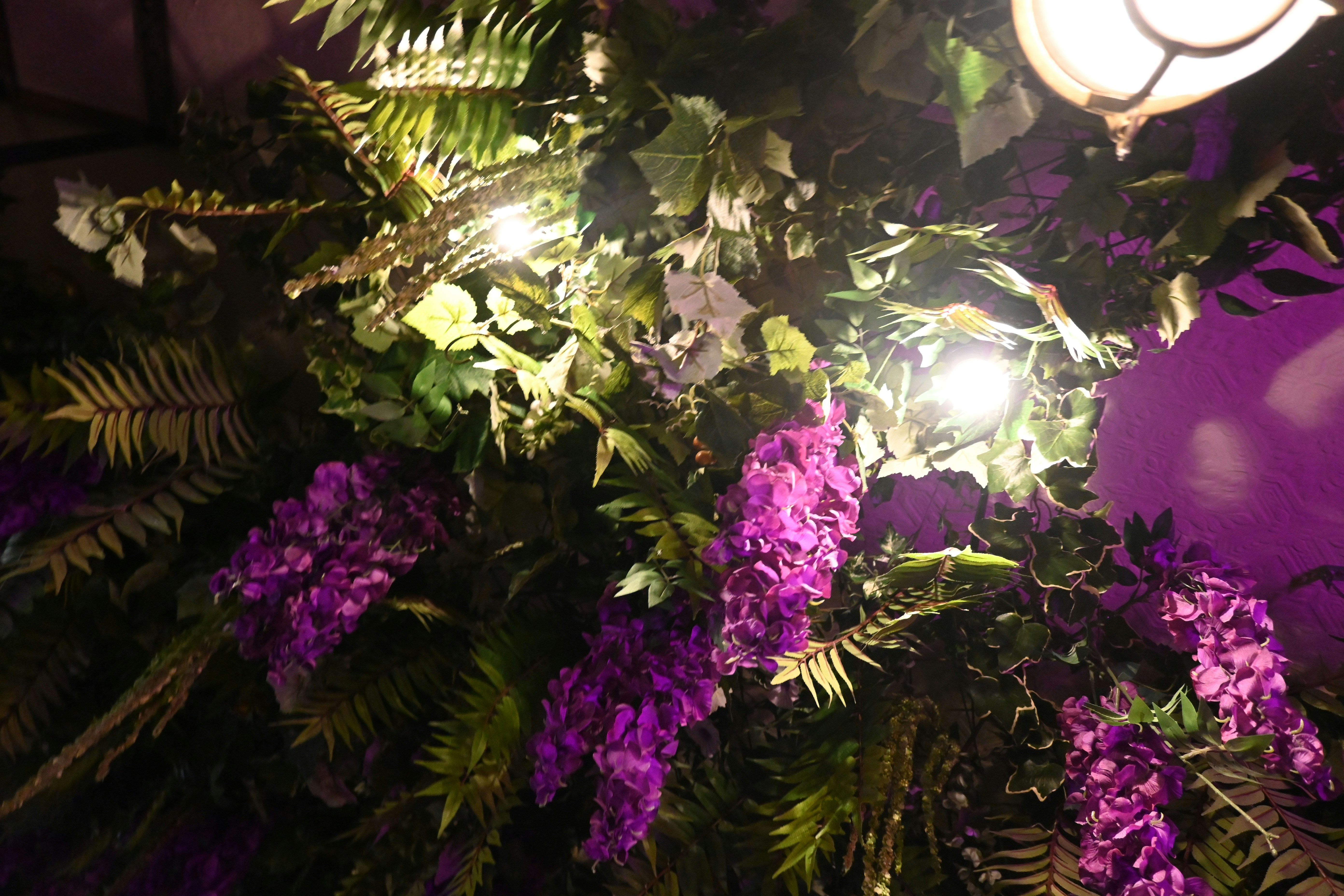 Violet Floral Canopy Under Stage Lights