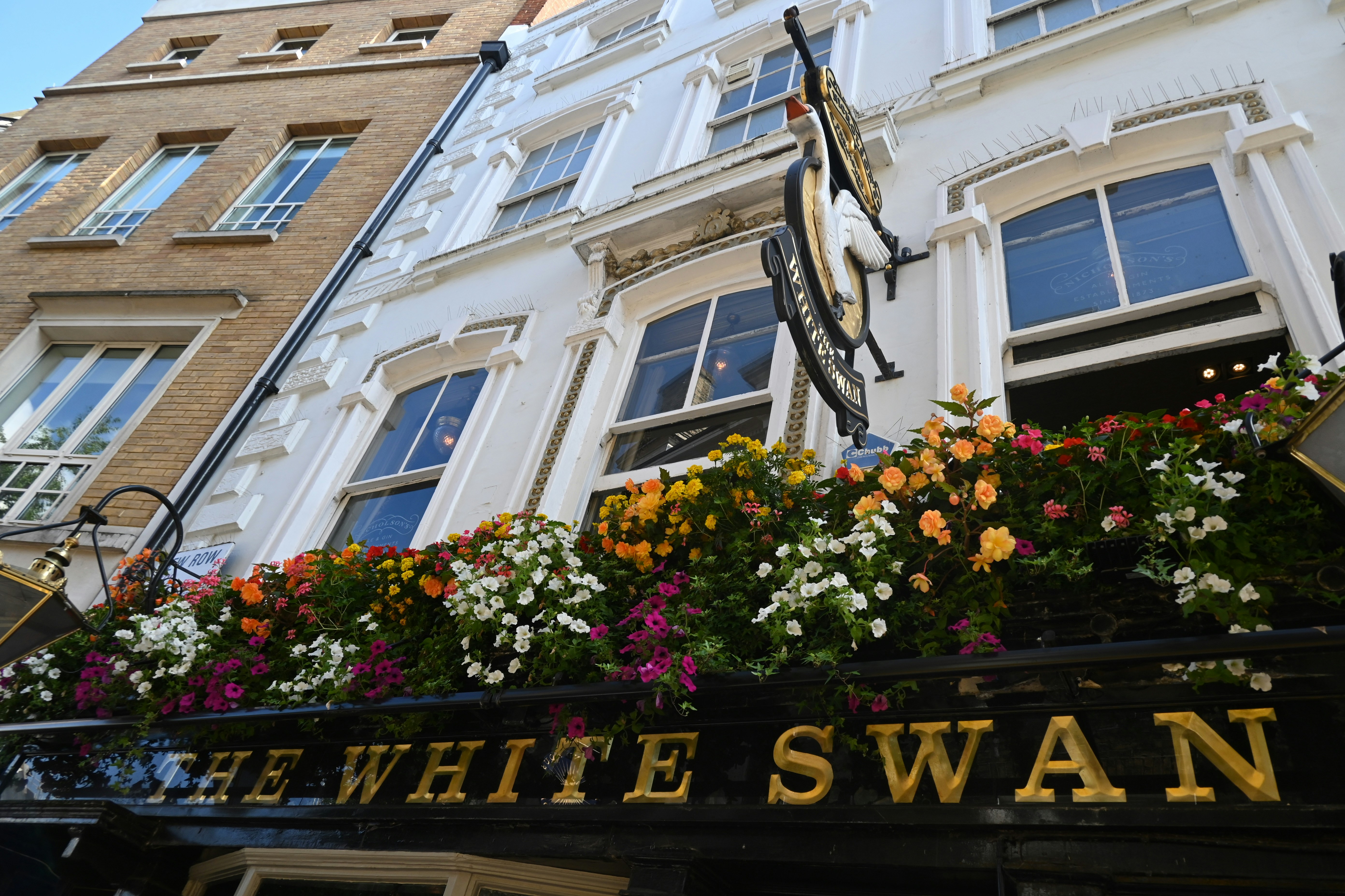 Photo by Karolina Bobek with Nikon Z30