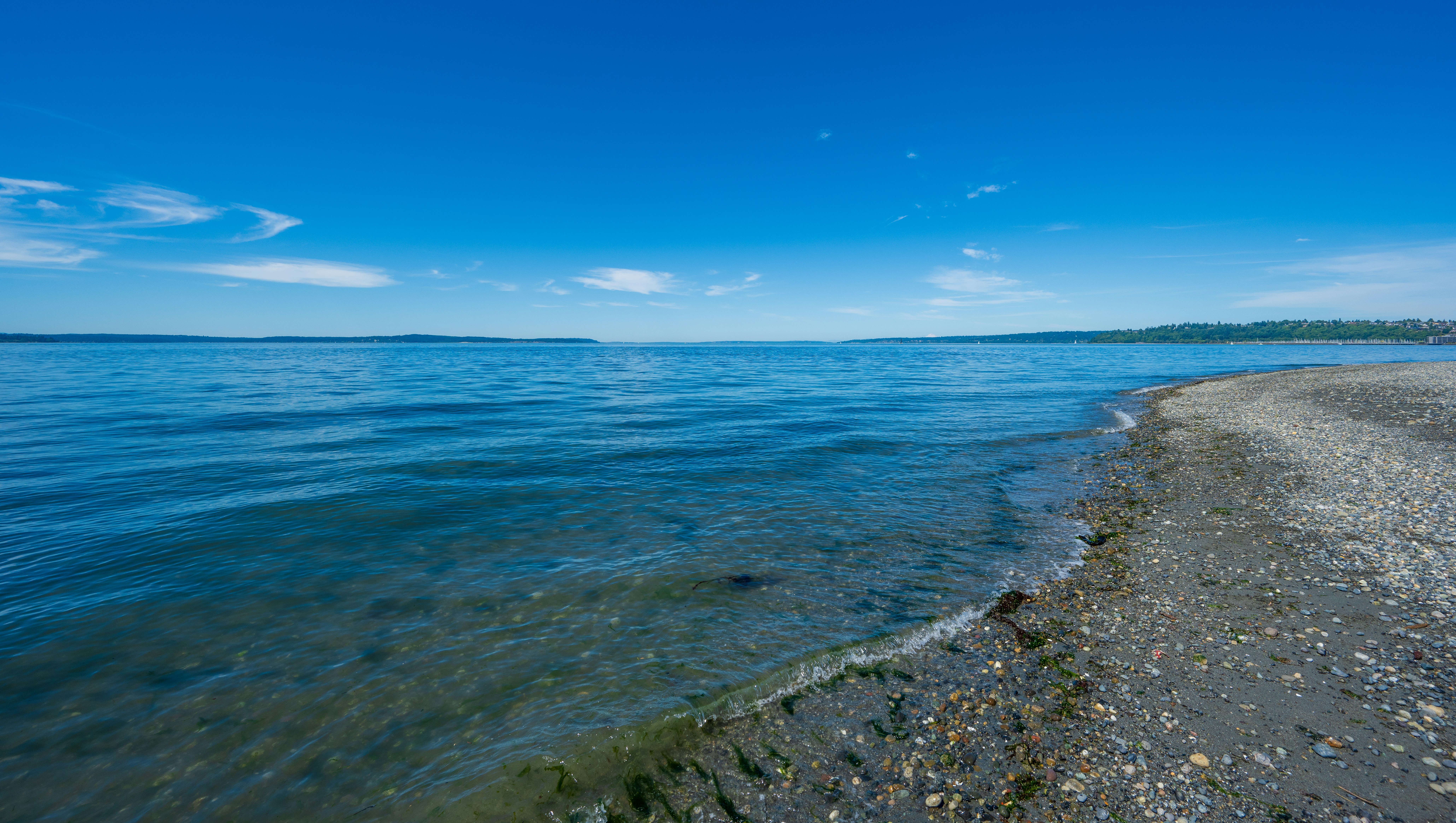 Photo by Jeremy Mowery with Nikon Z7 II