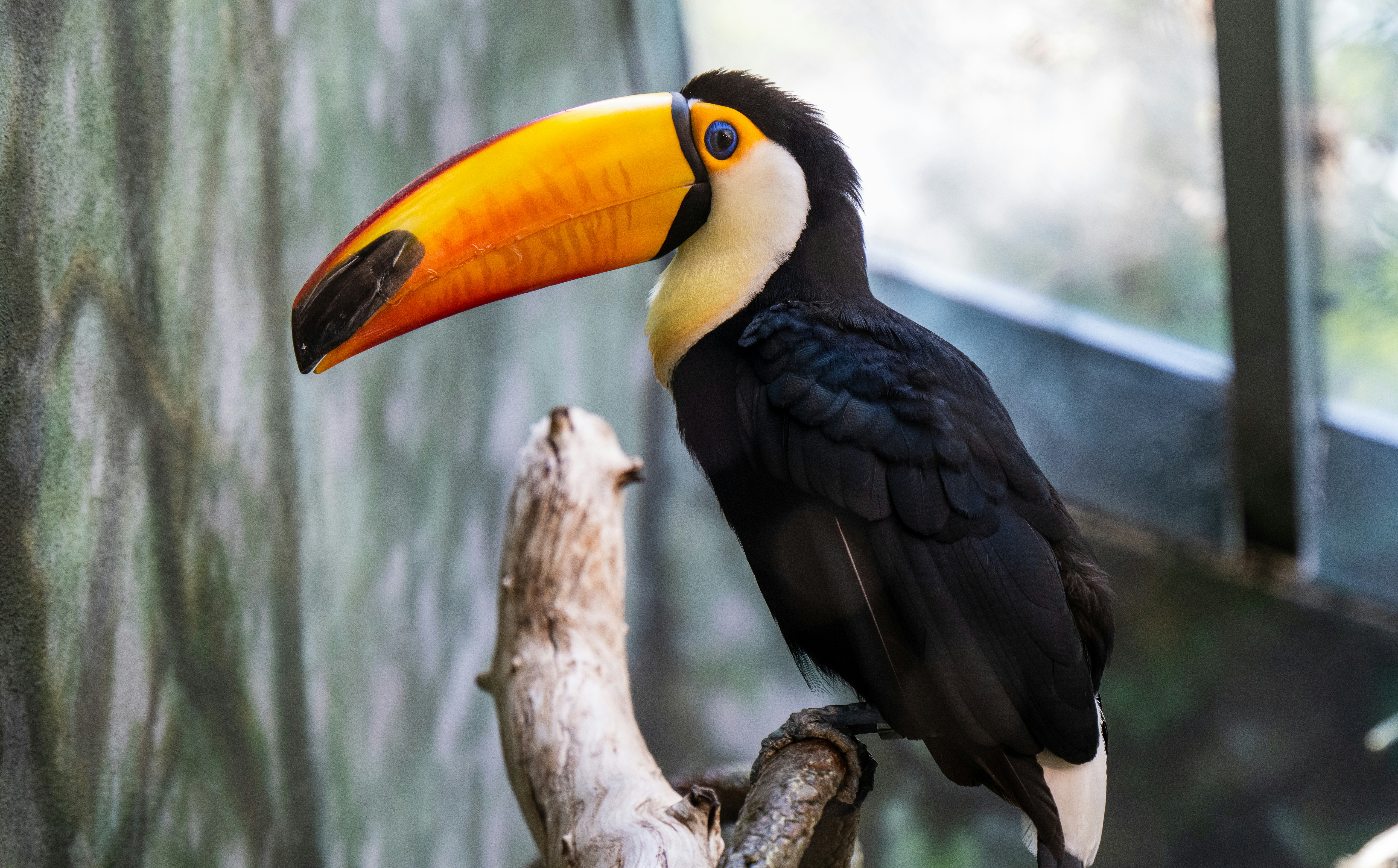 Photo by Jeremy Mowery with Nikon Z7 II