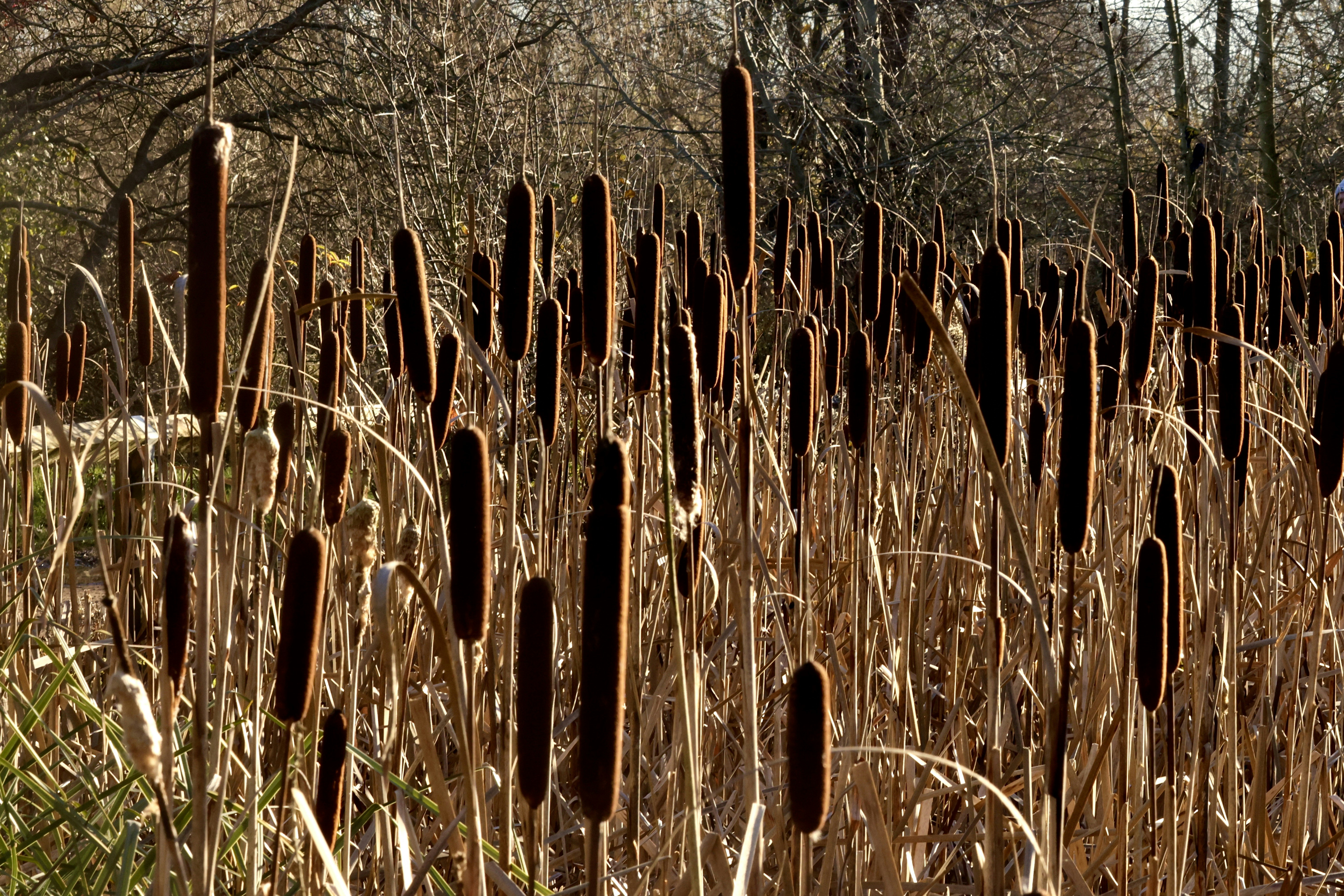 Photo by James Wainscoat with Canon EOS R5