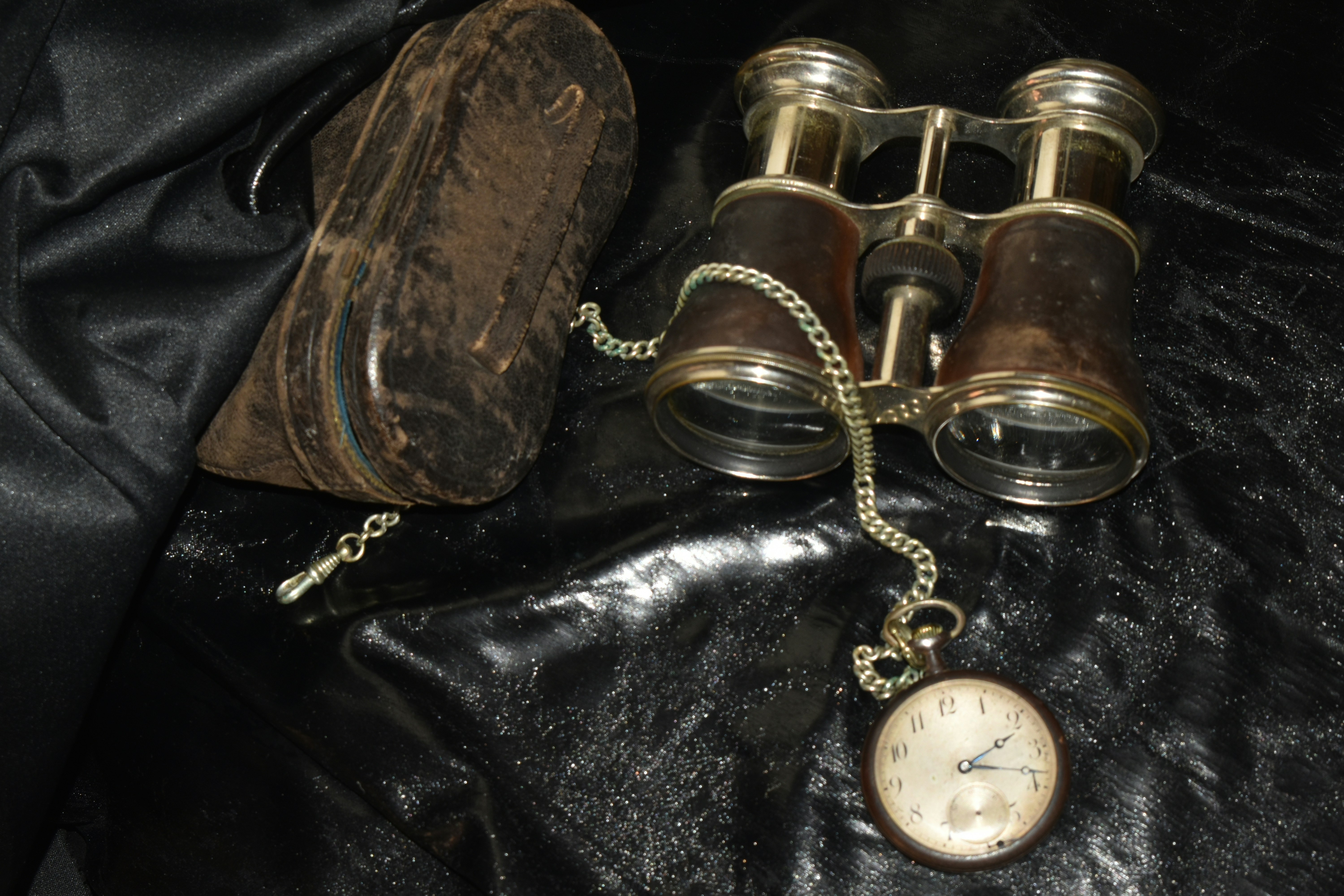 Photo by Niloufar Mirhadi with Nikon D3500