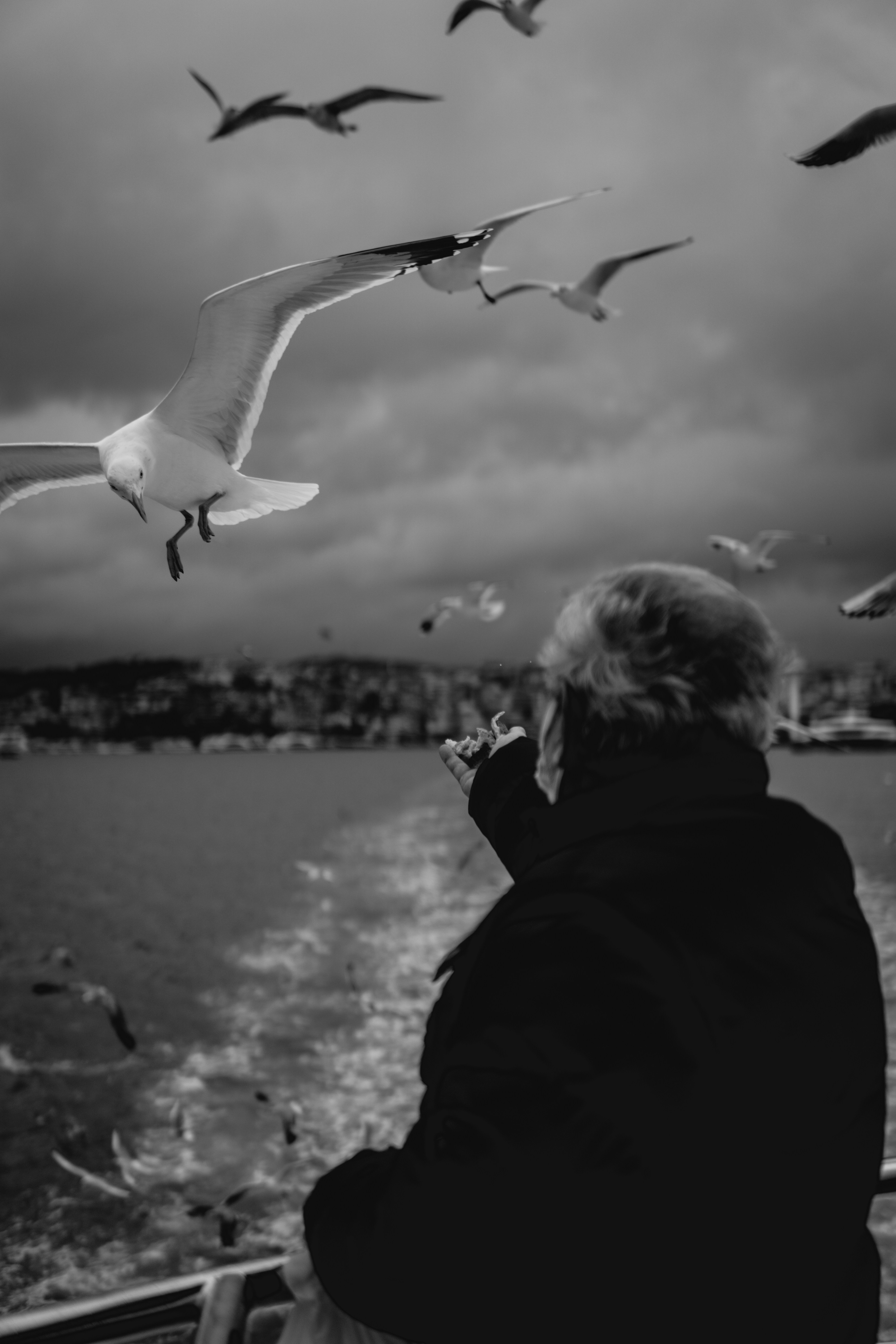 Photo by Cüneyt YILDIRIM with Sony Alpha 6400