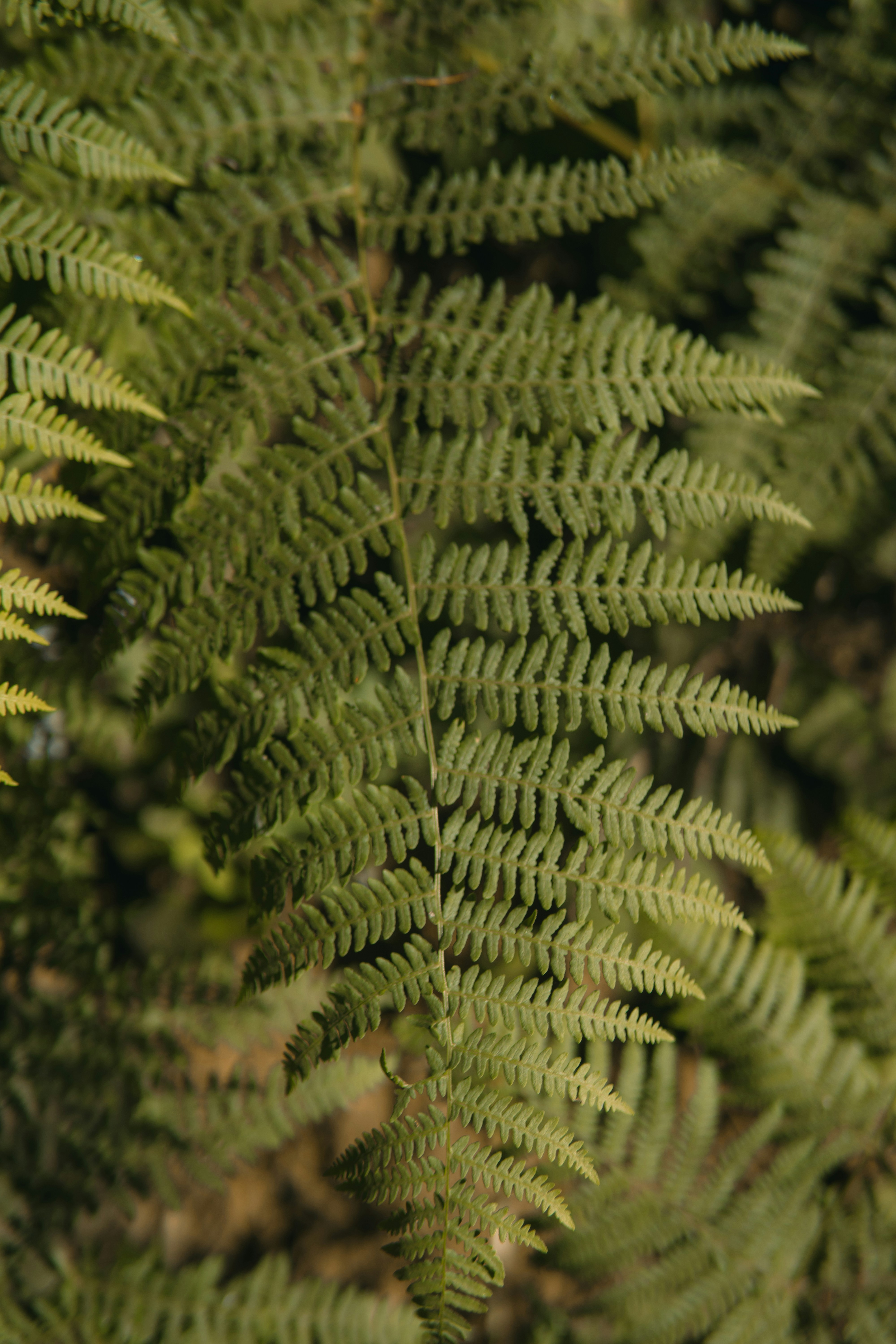 Photo by Cüneyt YILDIRIM with Sony Alpha 6400