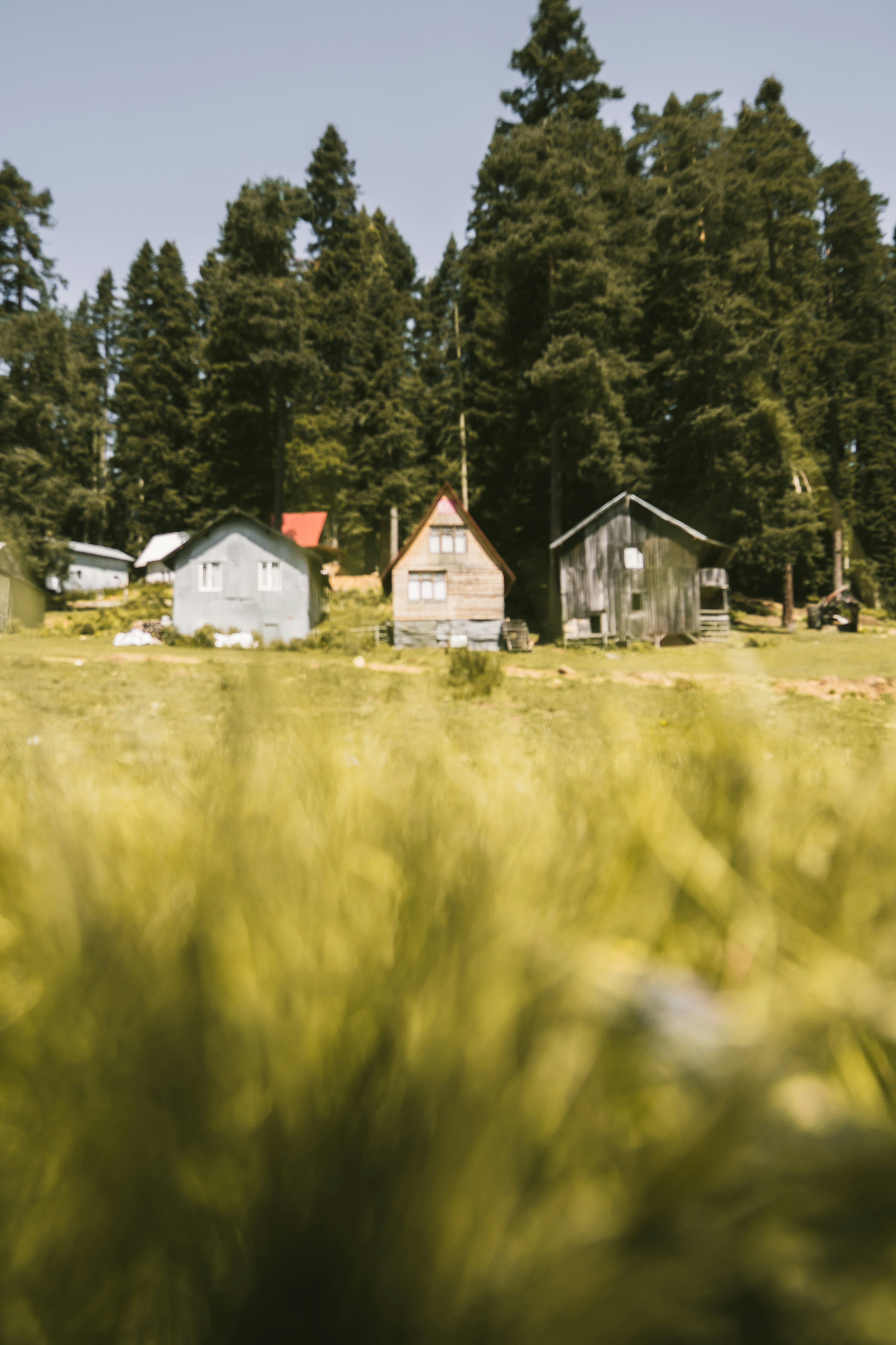 Photo by Cüneyt YILDIRIM with Sony Alpha 6400