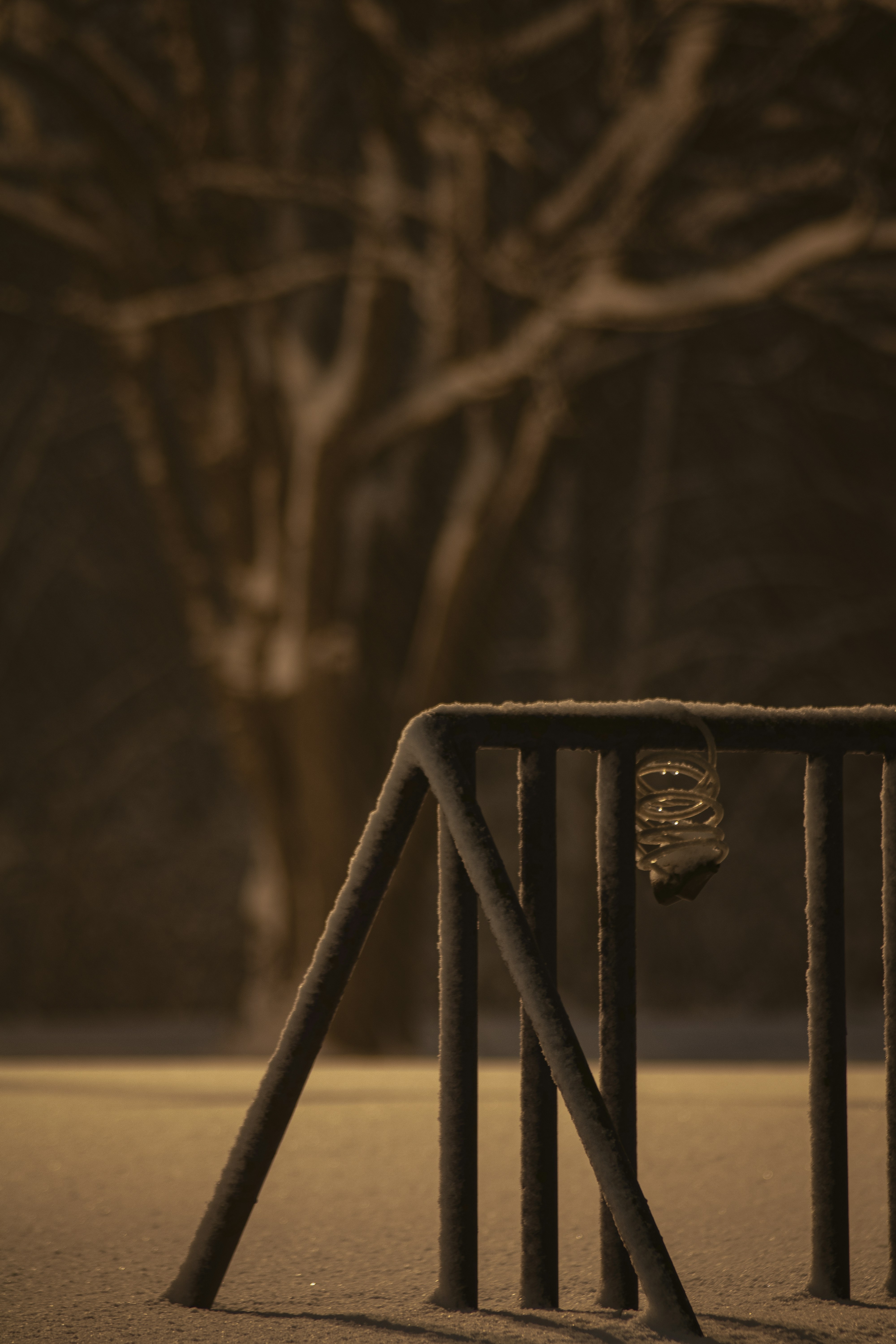 Winter Lock: A lone bike lock glints on a frosted railing