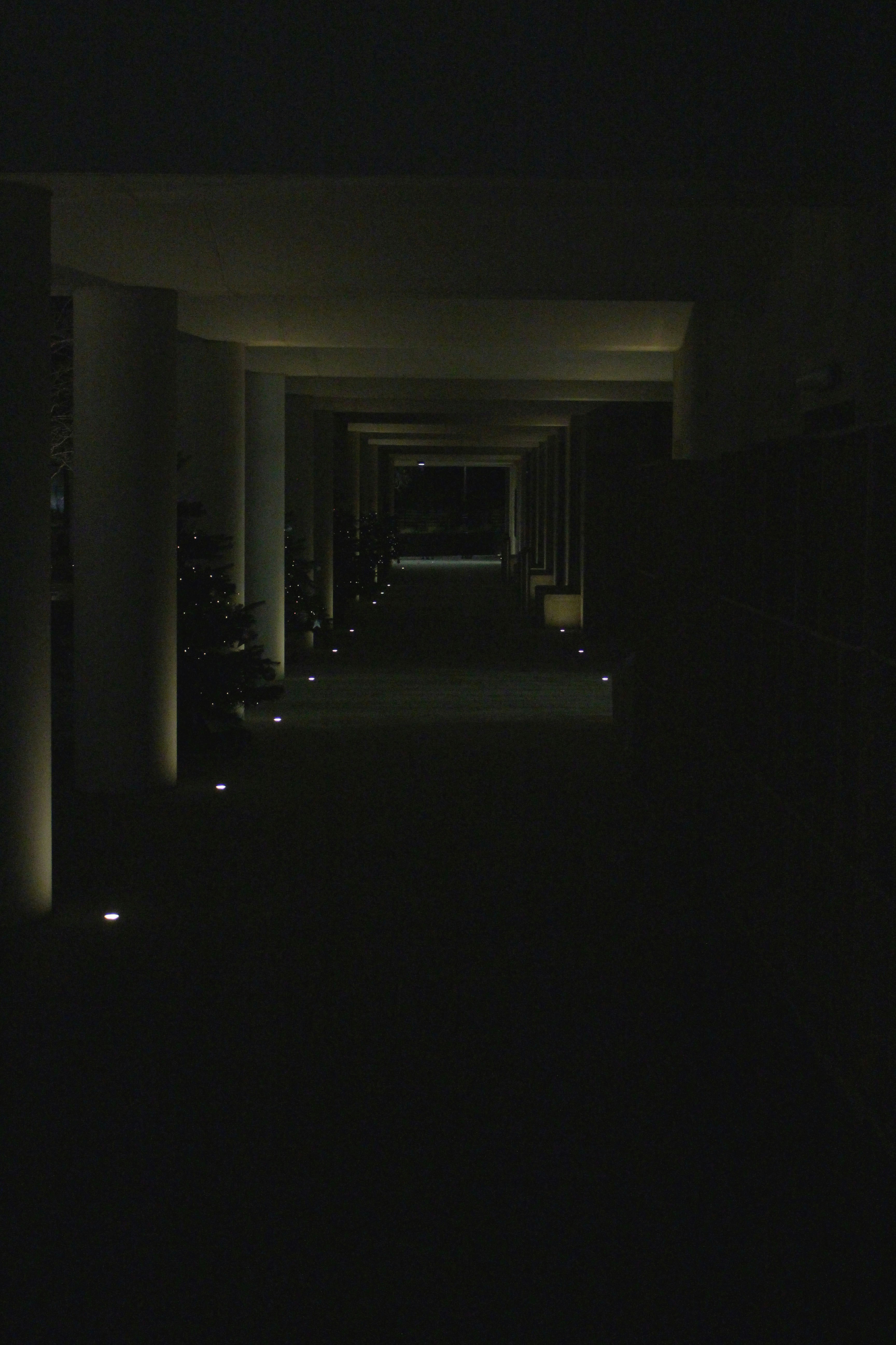 Dark hallway with columns and lights at night photo – Free Architecture ...