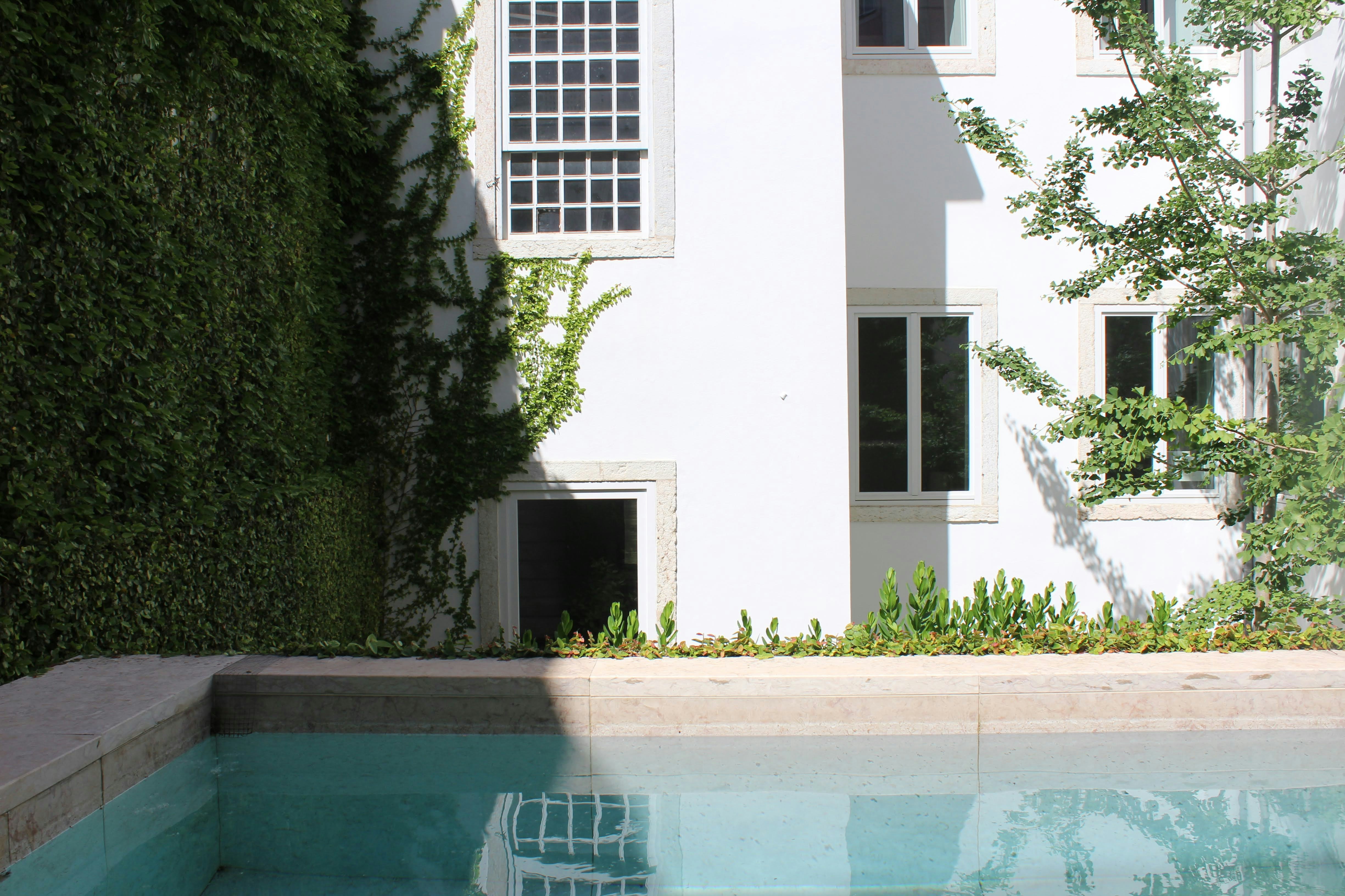 White building with ivy and swimming pool photo – Free Architecture ...
