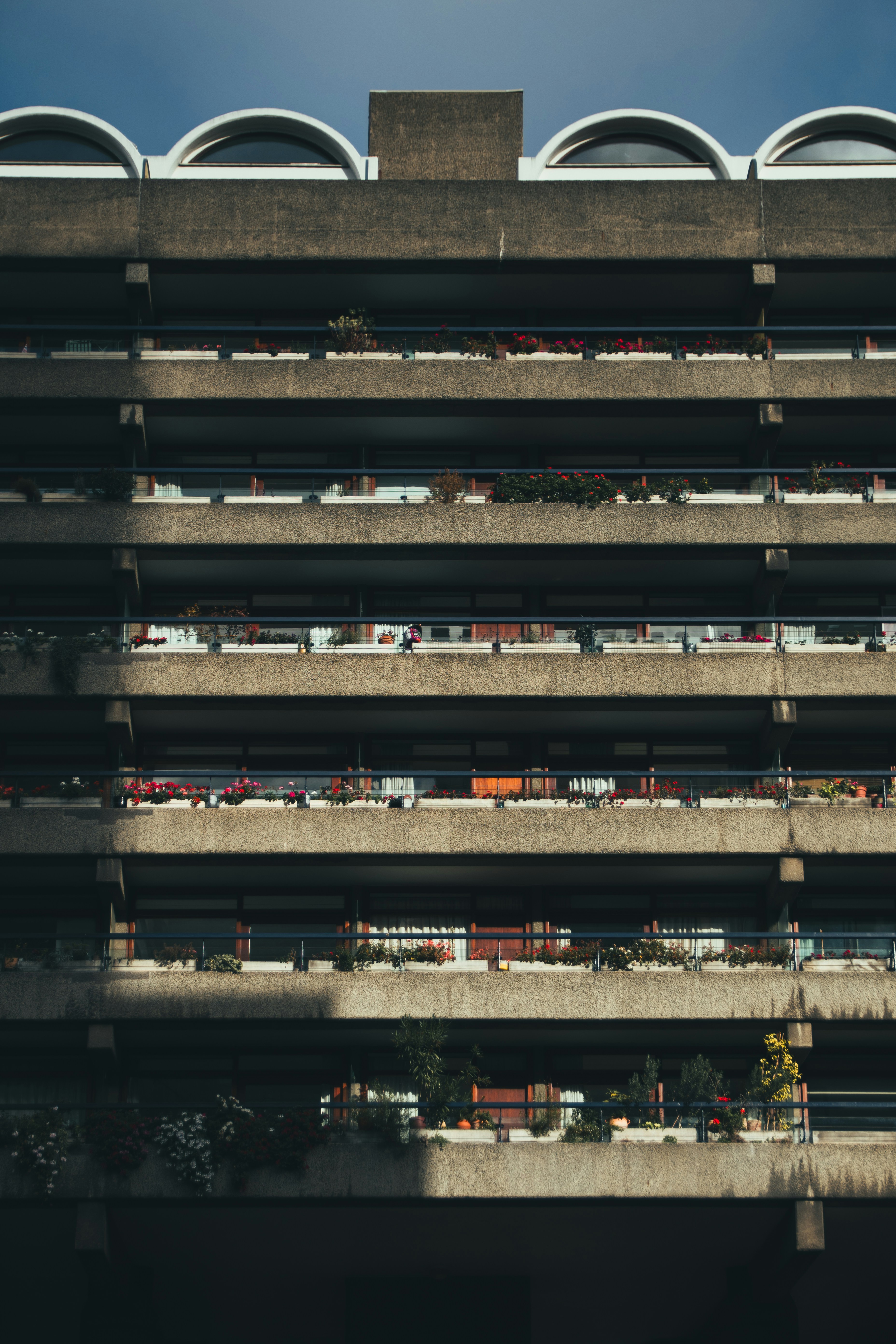 Balconies in Sync: A Concrete Facade Layered with Life