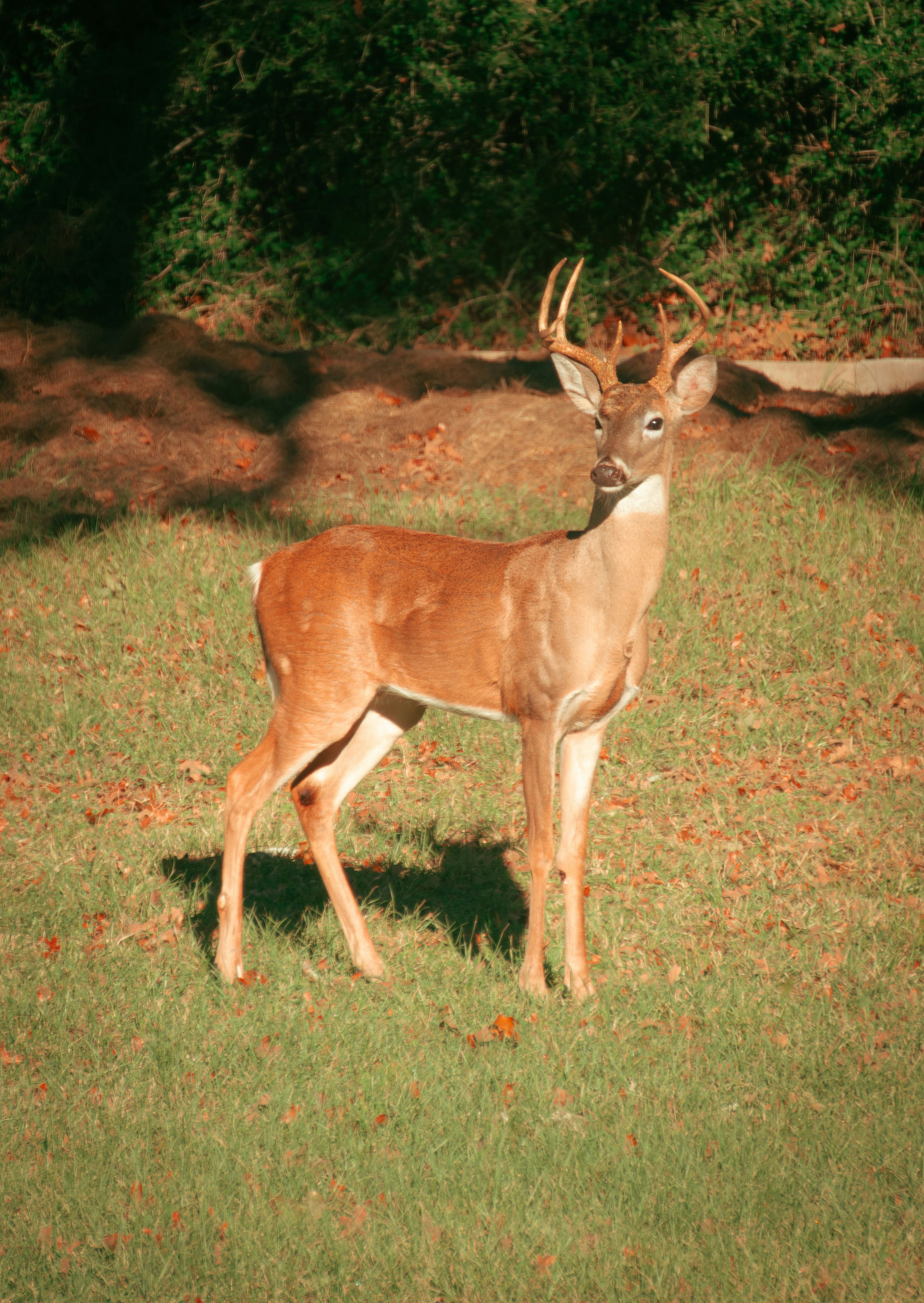 Photo by Dylan Hunter with Sony Alpha 6100