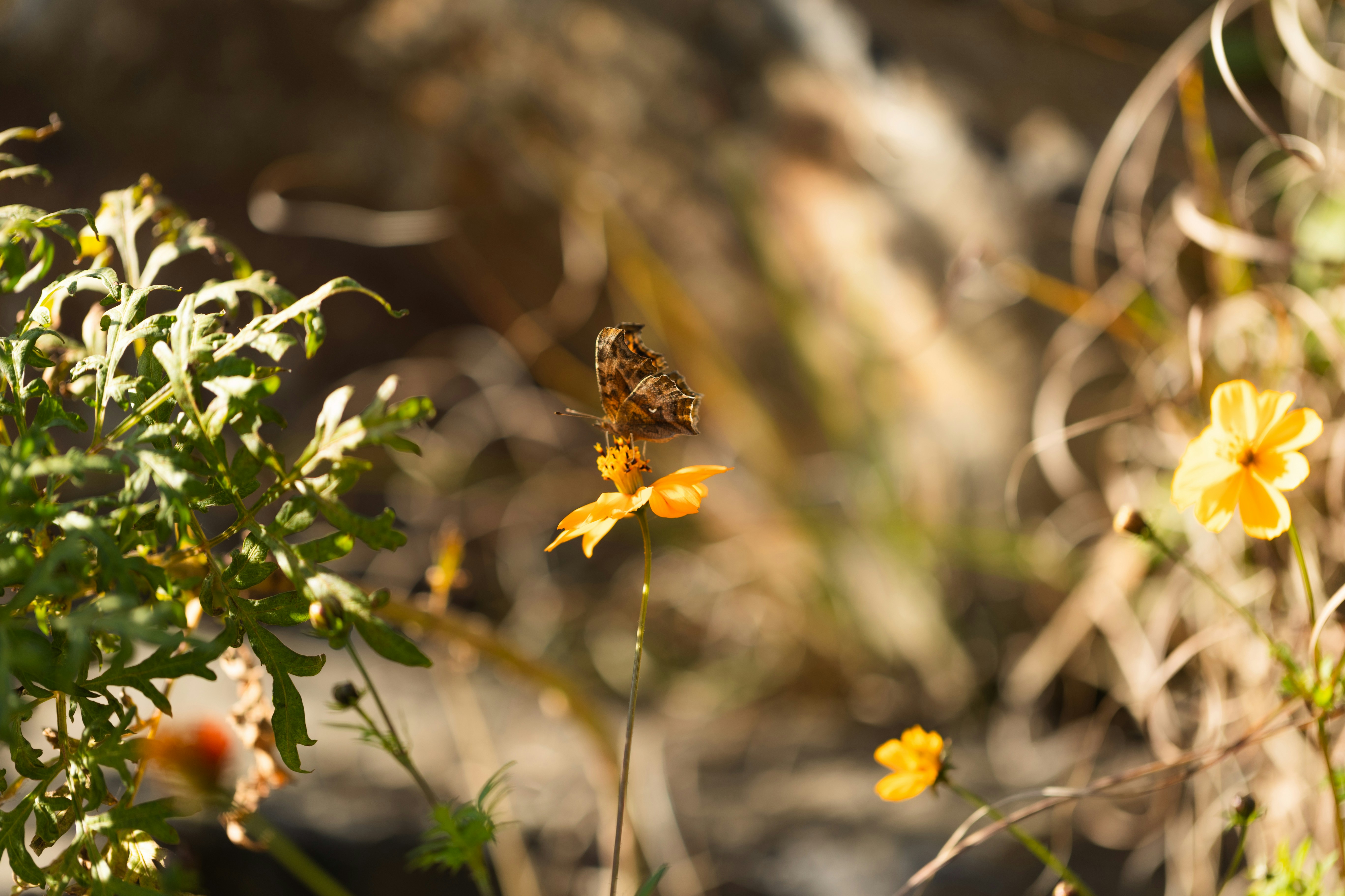 Photo by Neat J with Canon EOS R6