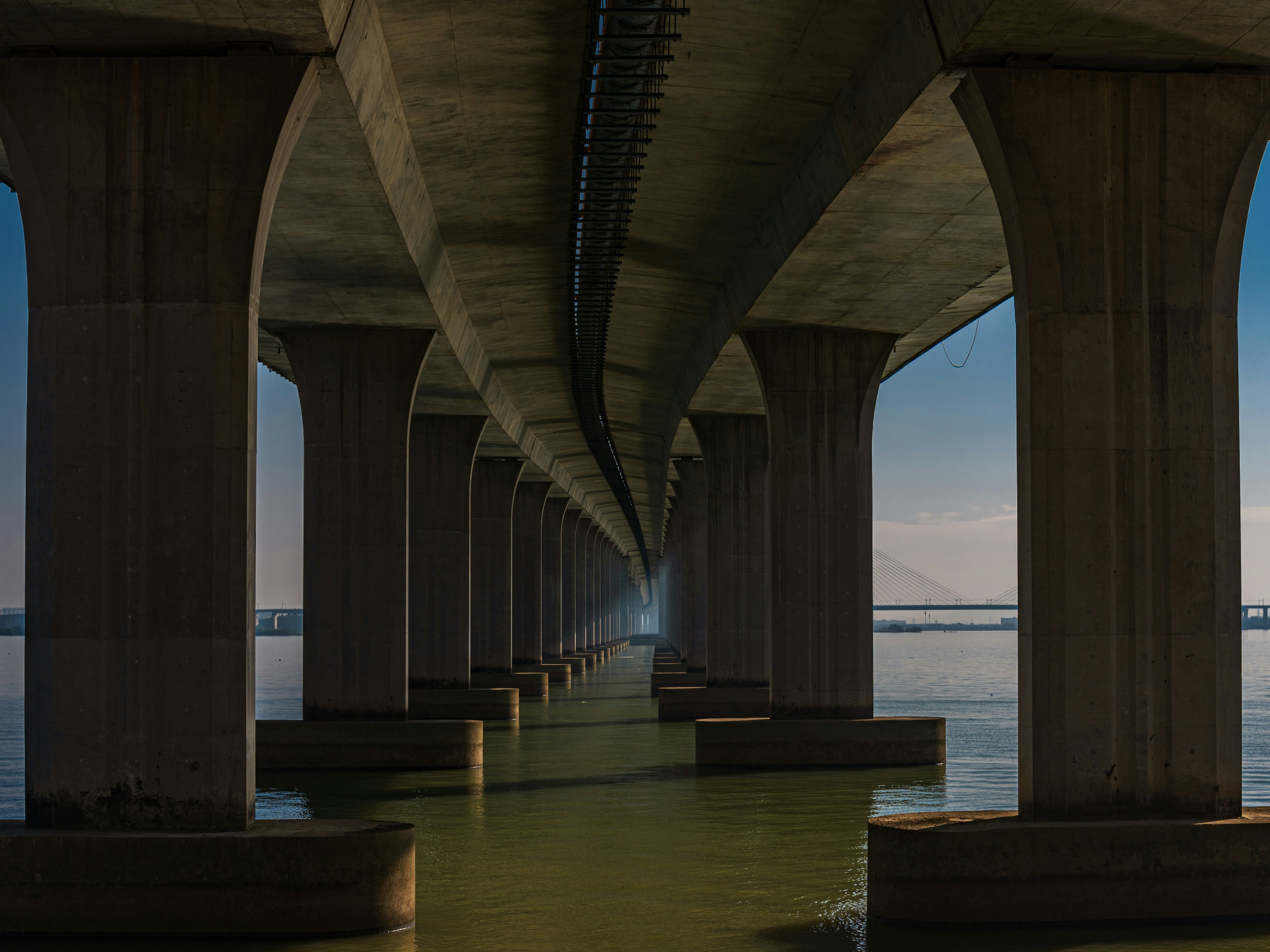 Photo by Zheng XUE with Nikon Z6 III