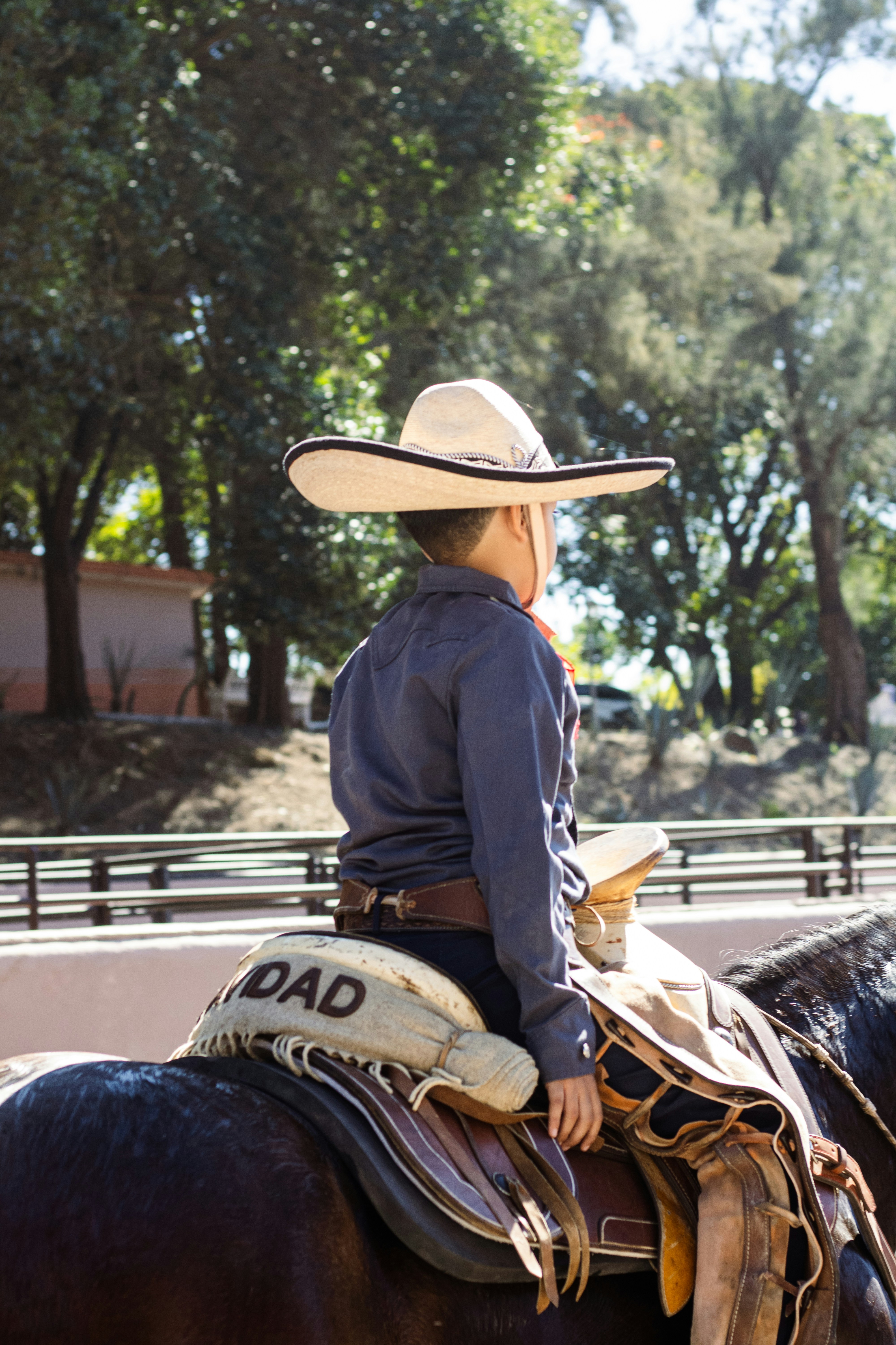 Boy in a Wide-Brimmed Hat Rides a Horse at Dappled Park