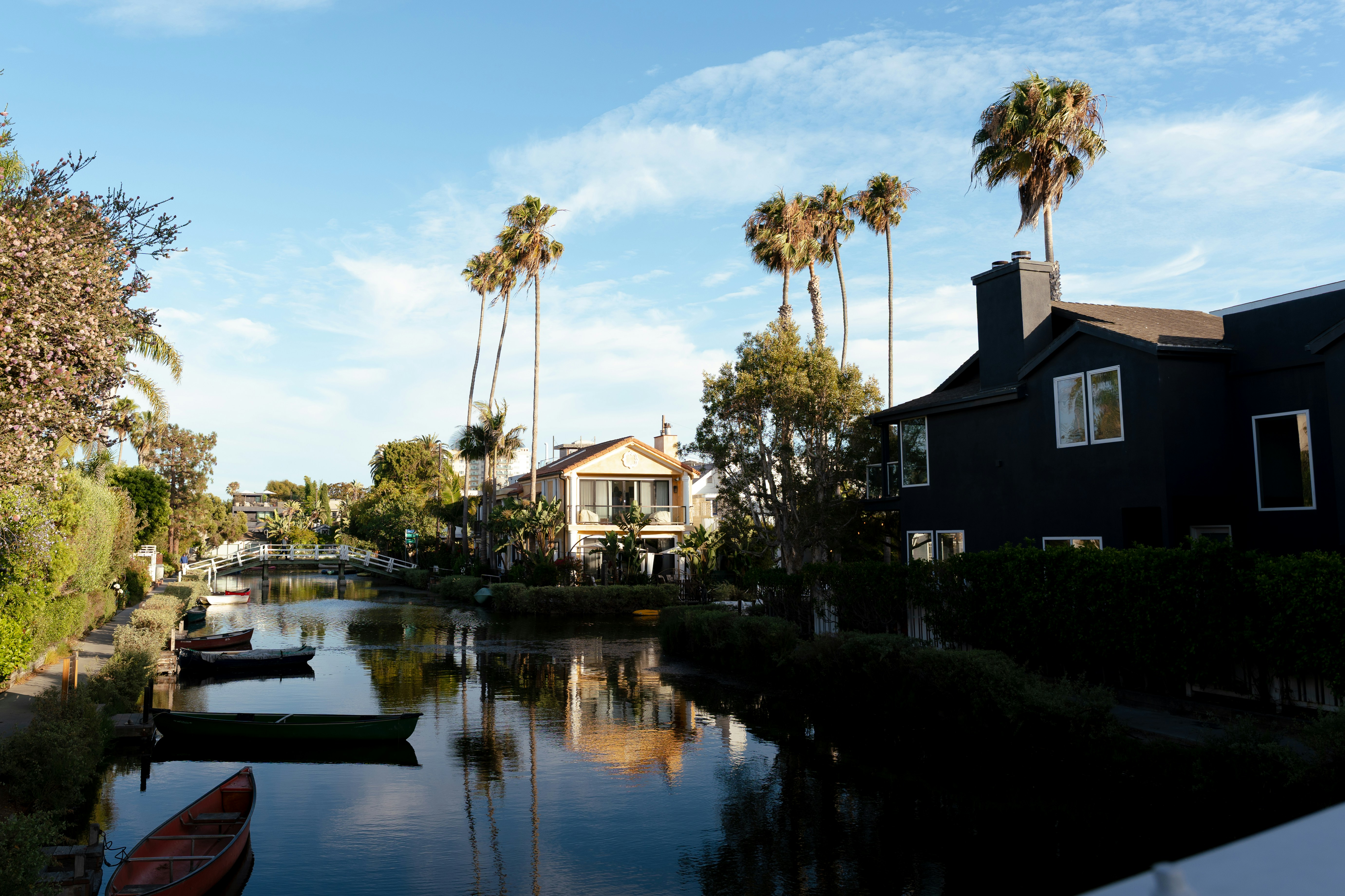 Sunlit canal neighborhood with palm-fringed waterway and modern homes