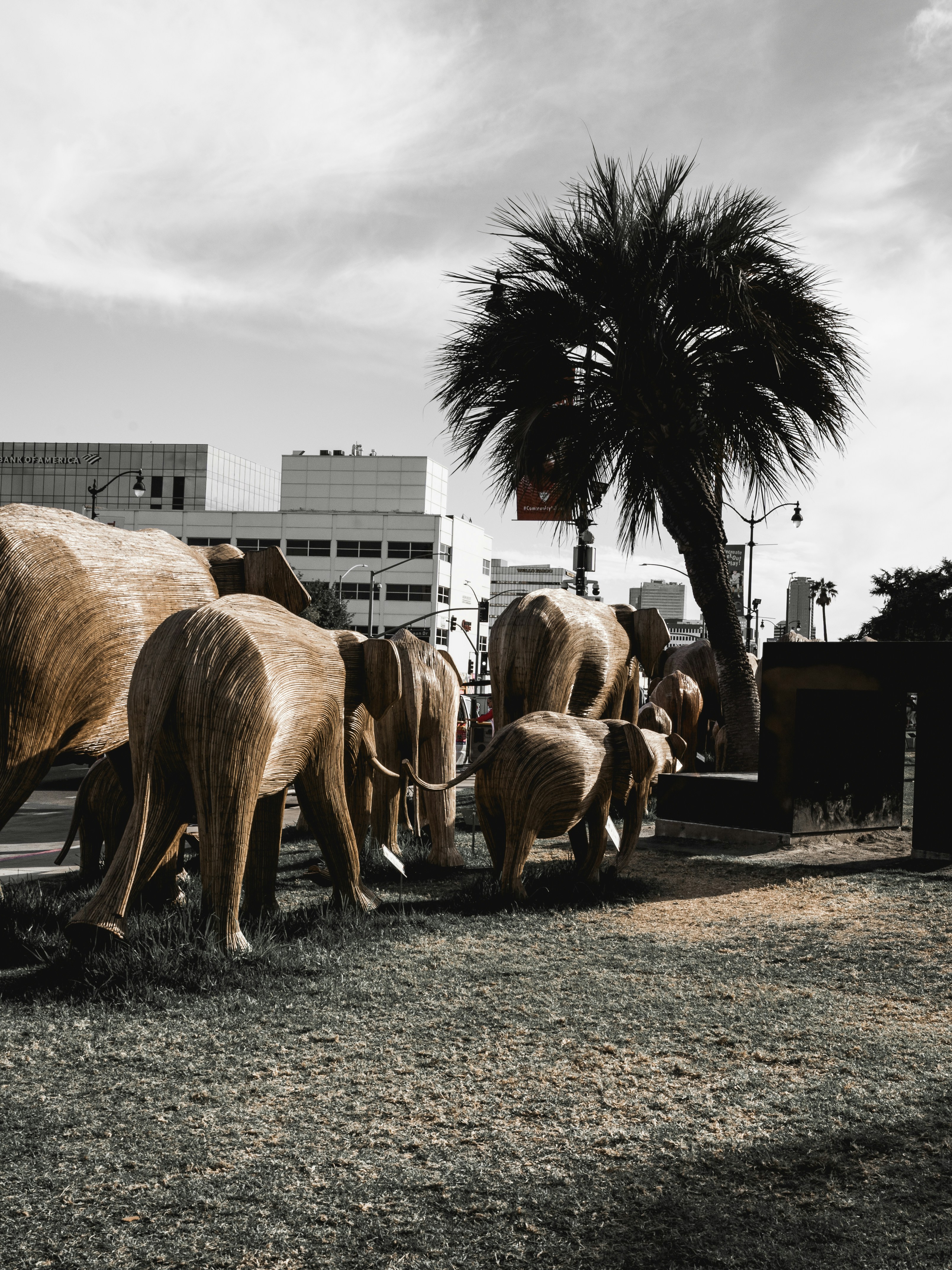 The Great Elephant Herd Migration at it's final destination at the Beverly Hills Garden Park.