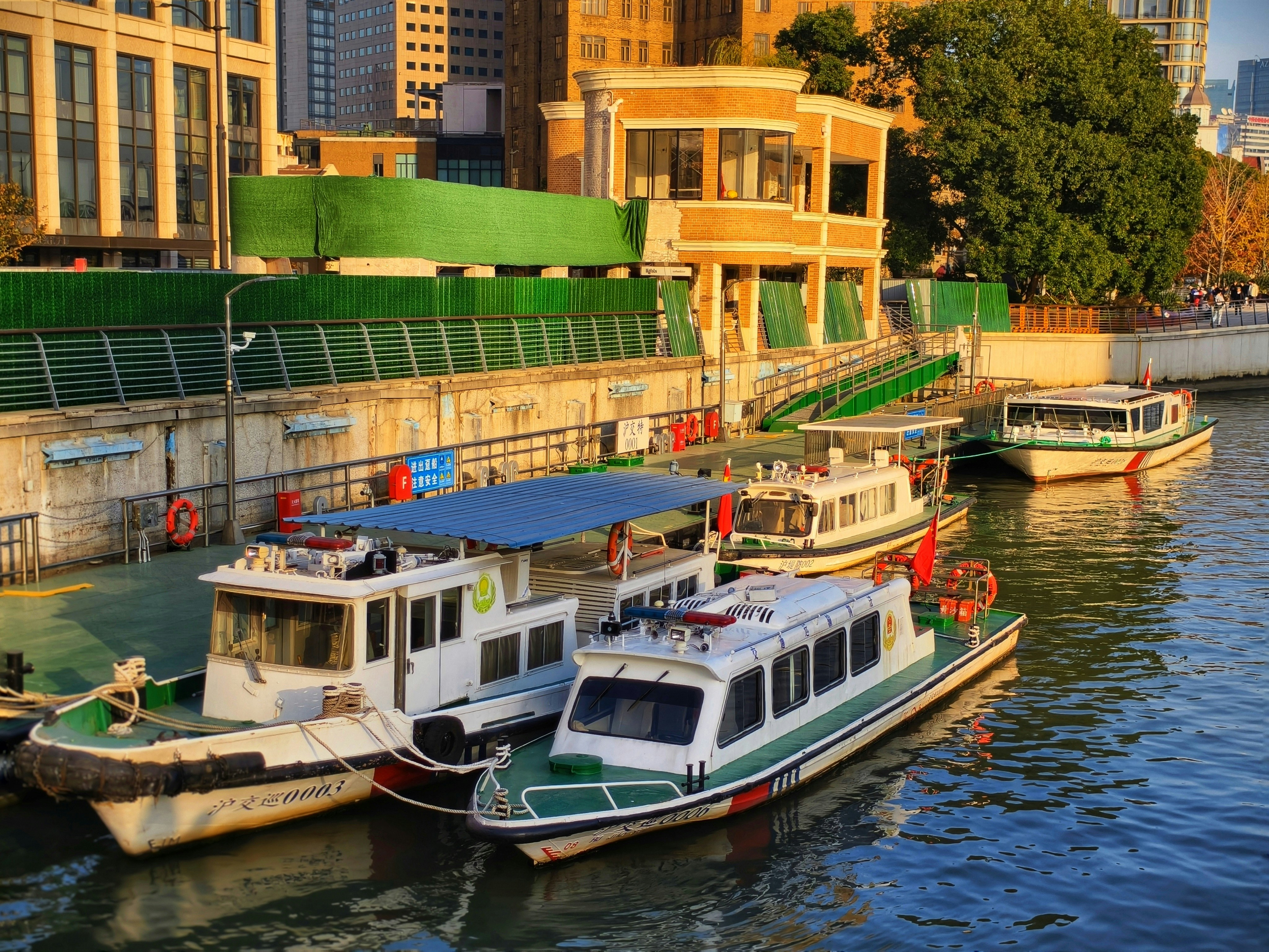 Photo by Riku Lu with Vivo X200s