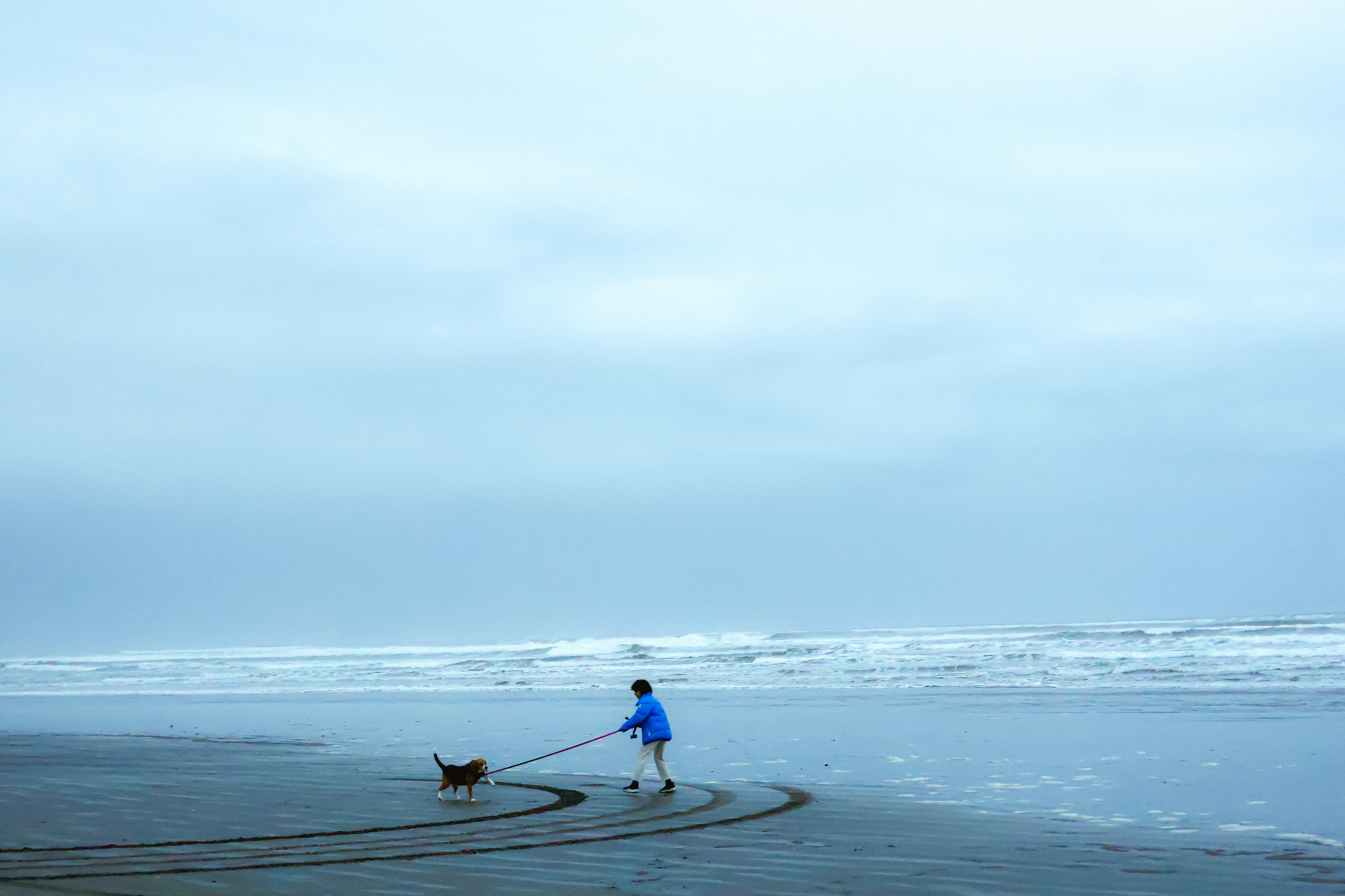 Blue-silhouette at the Tidal Curve