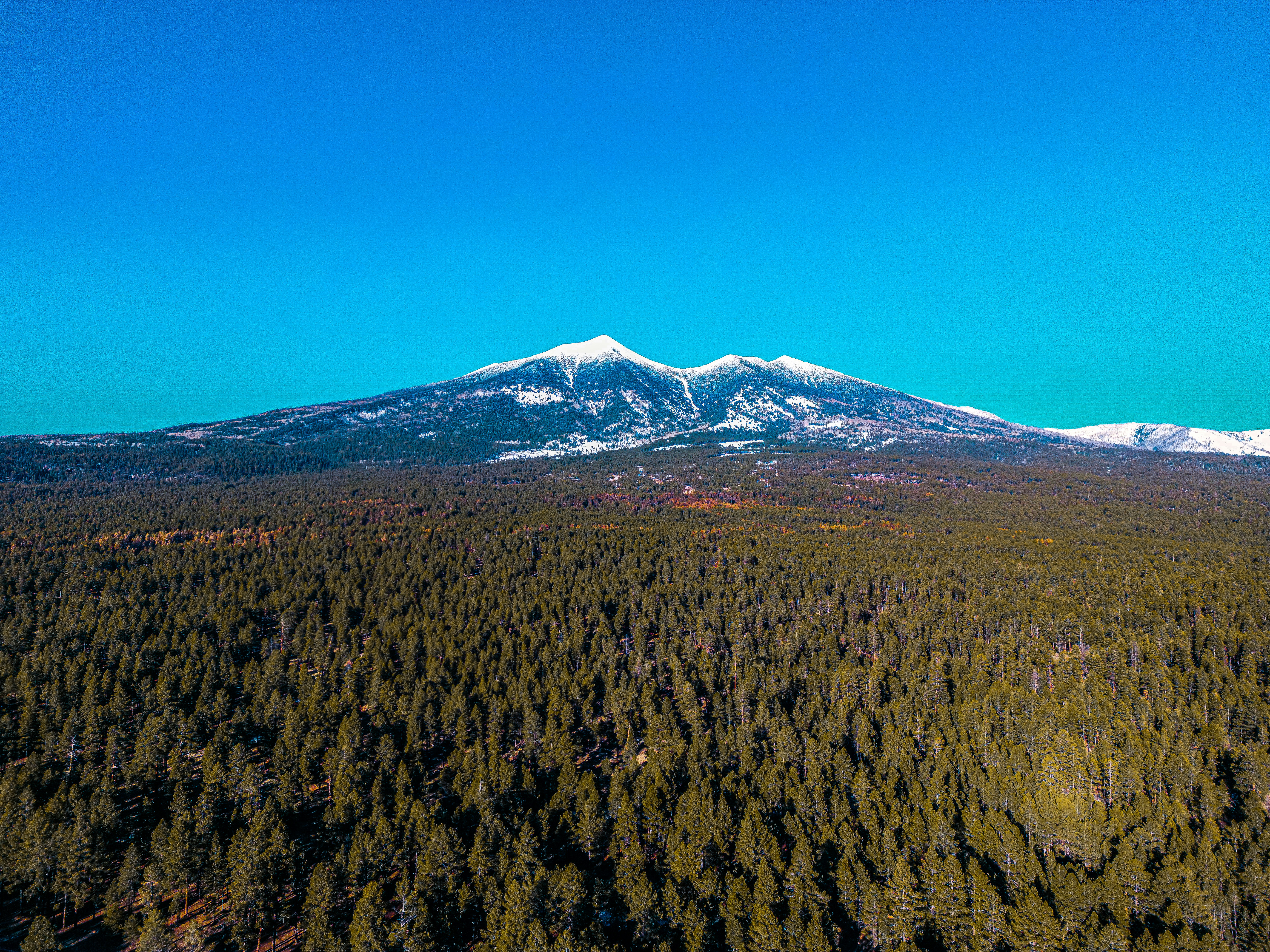 Snow-capped peak over a vast pine forest under a cerulean sky