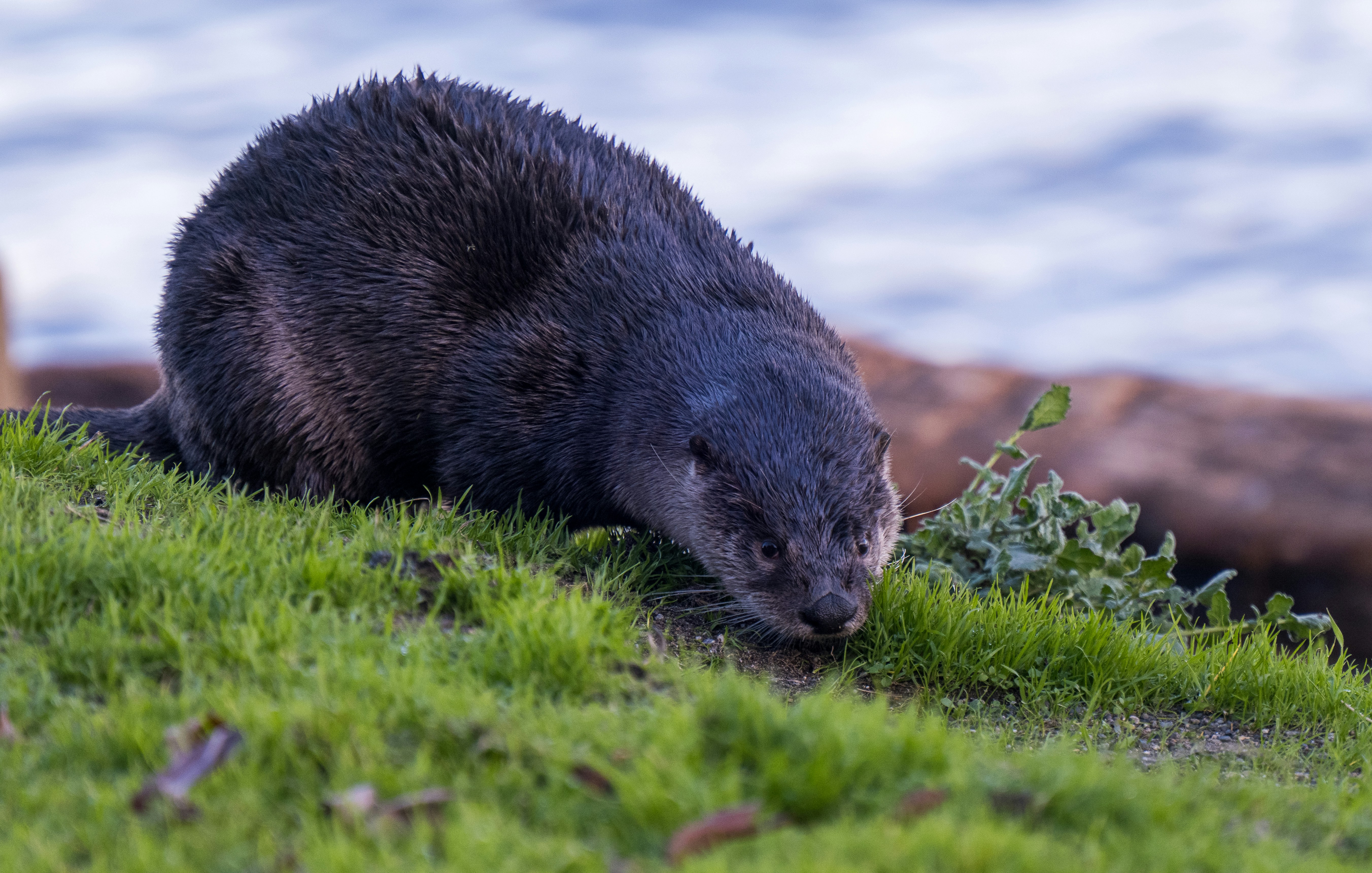 Photo by Jeremy Mowery with Nikon Z7 II