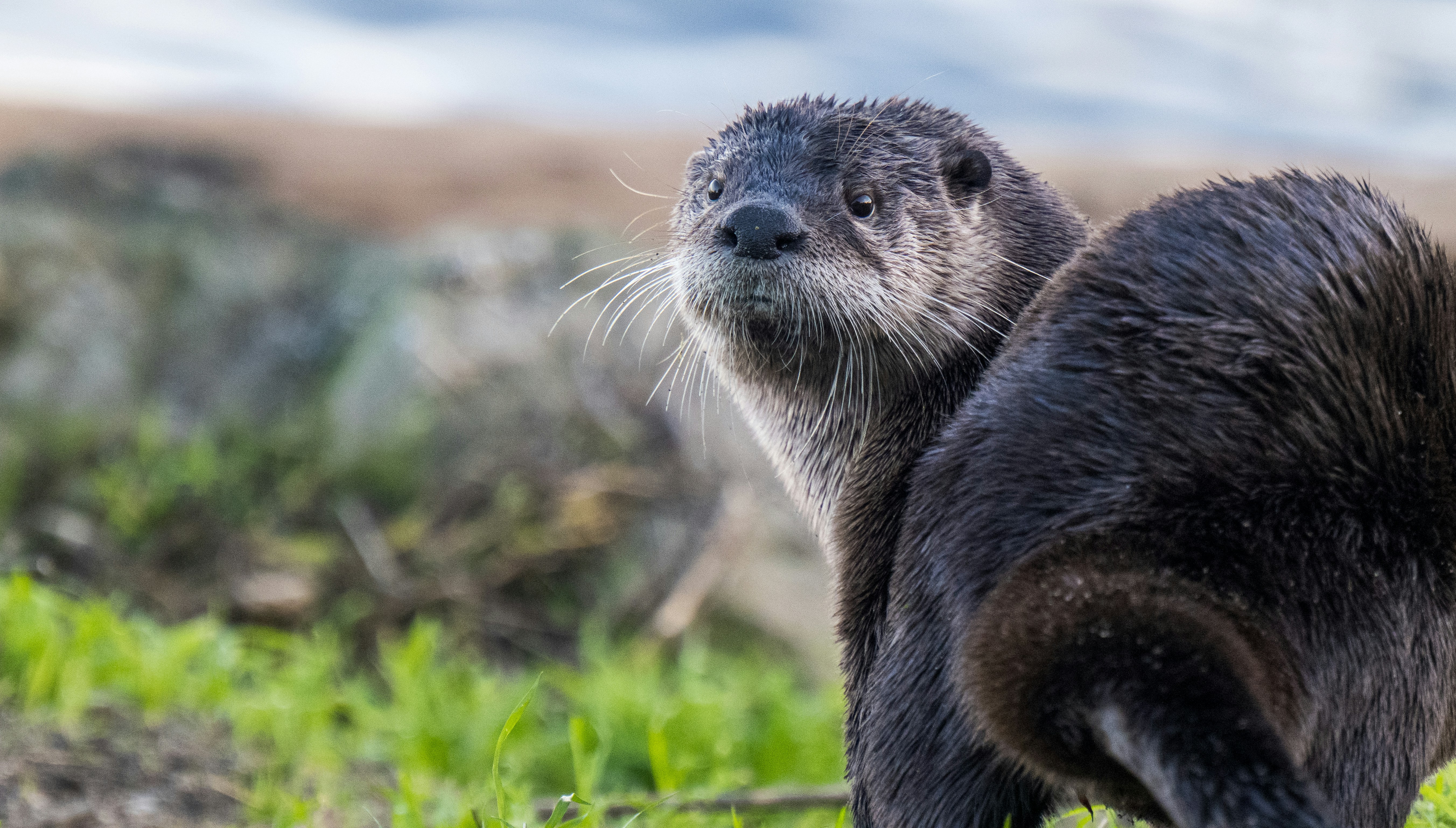 Photo by Jeremy Mowery with Nikon Z7 II