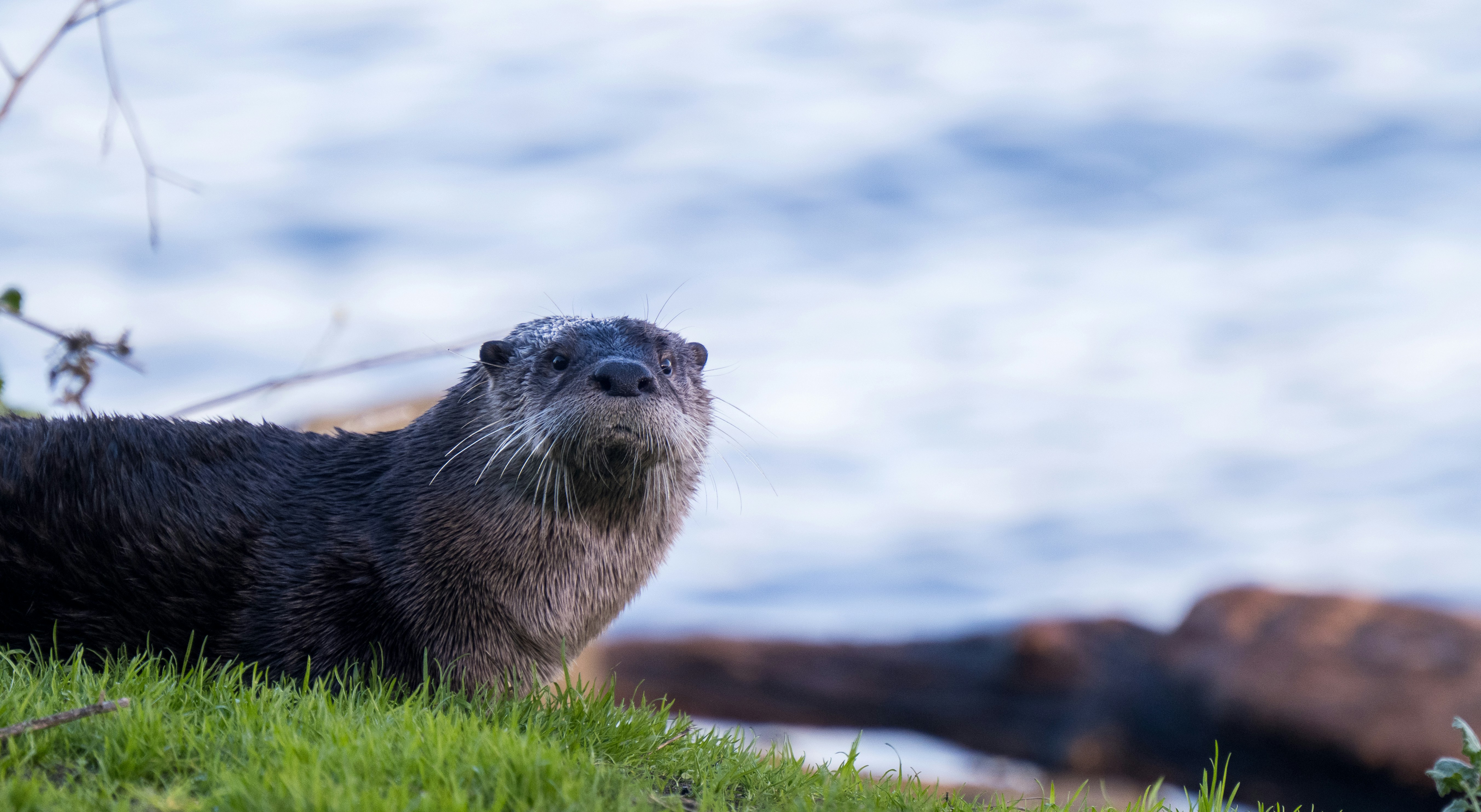 Photo by Jeremy Mowery with Nikon Z7 II