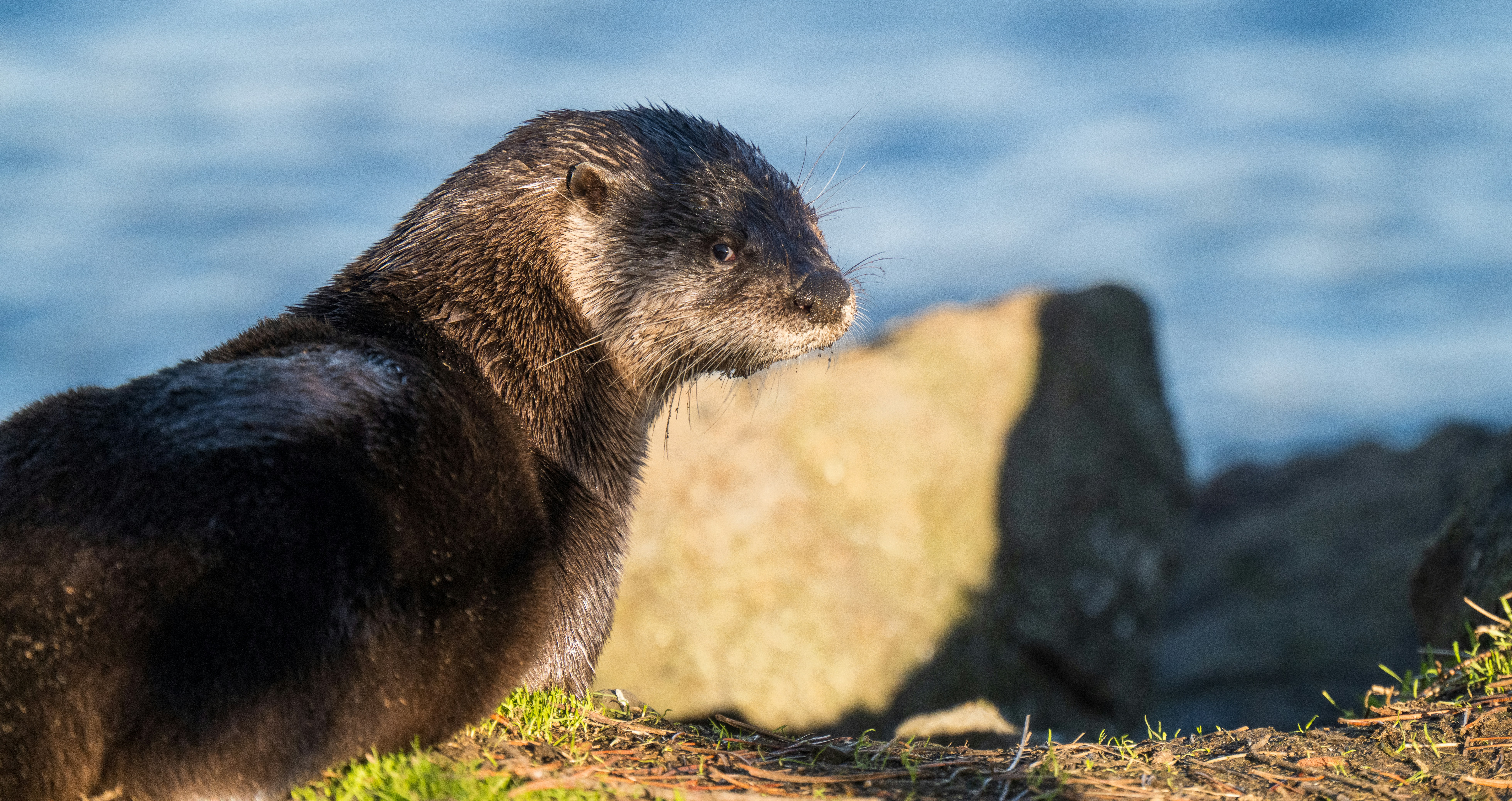 Photo by Jeremy Mowery with Nikon Z7 II