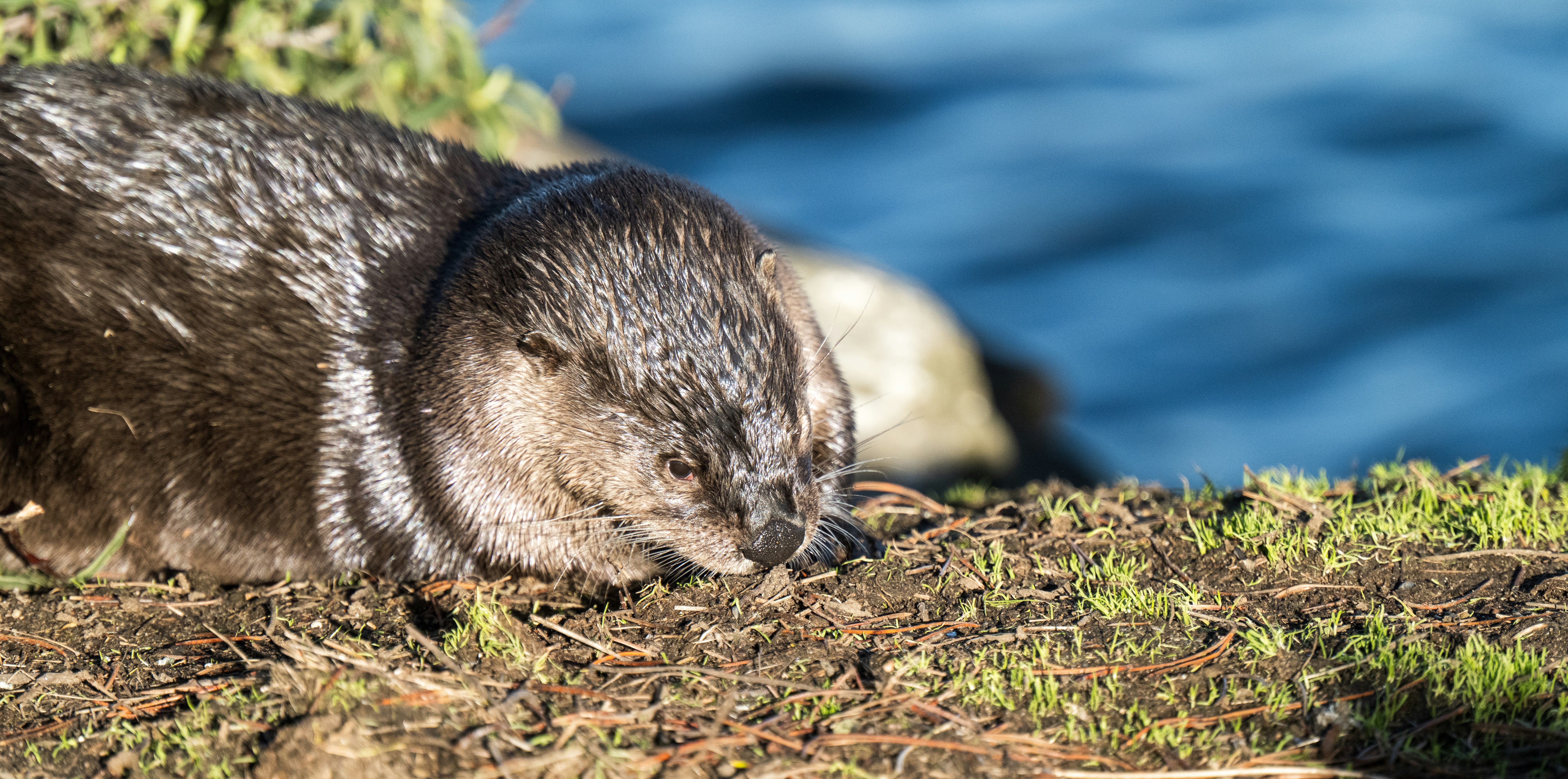 Photo by Jeremy Mowery with Nikon Z7 II