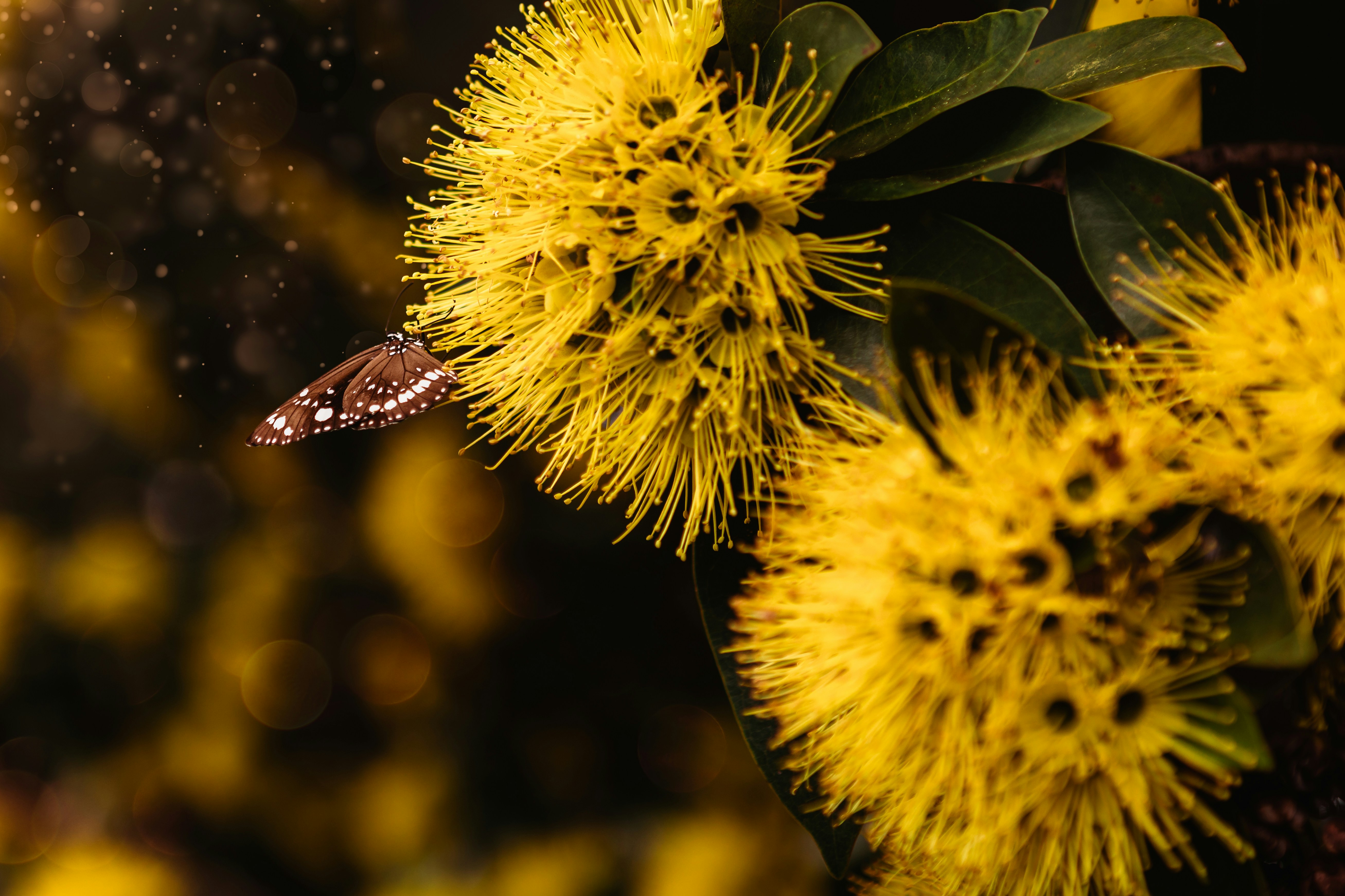 Photo by Sandie Peters with Canon EOS R