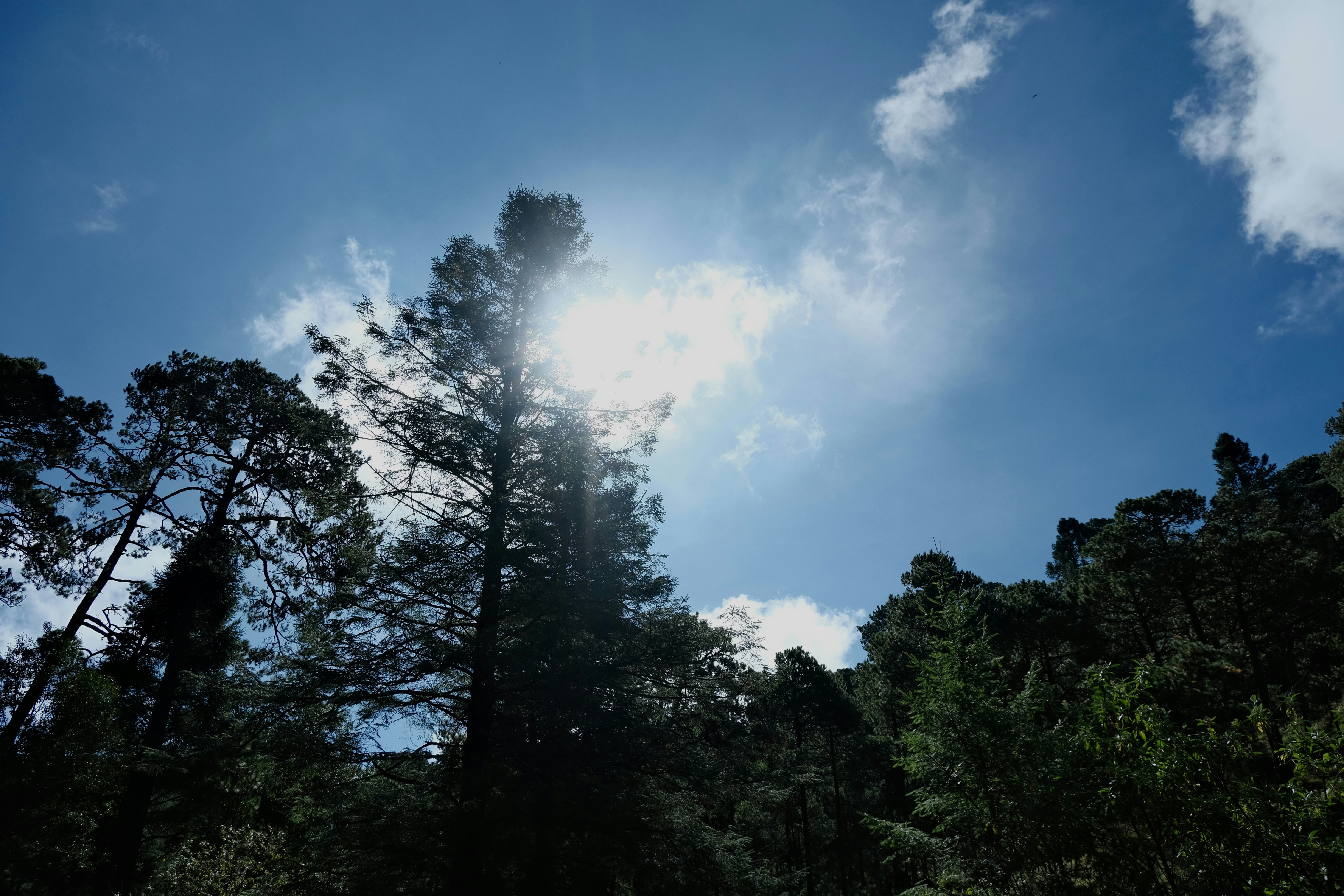 Photo by Carla Lozada with Fujifilm X-T30 II