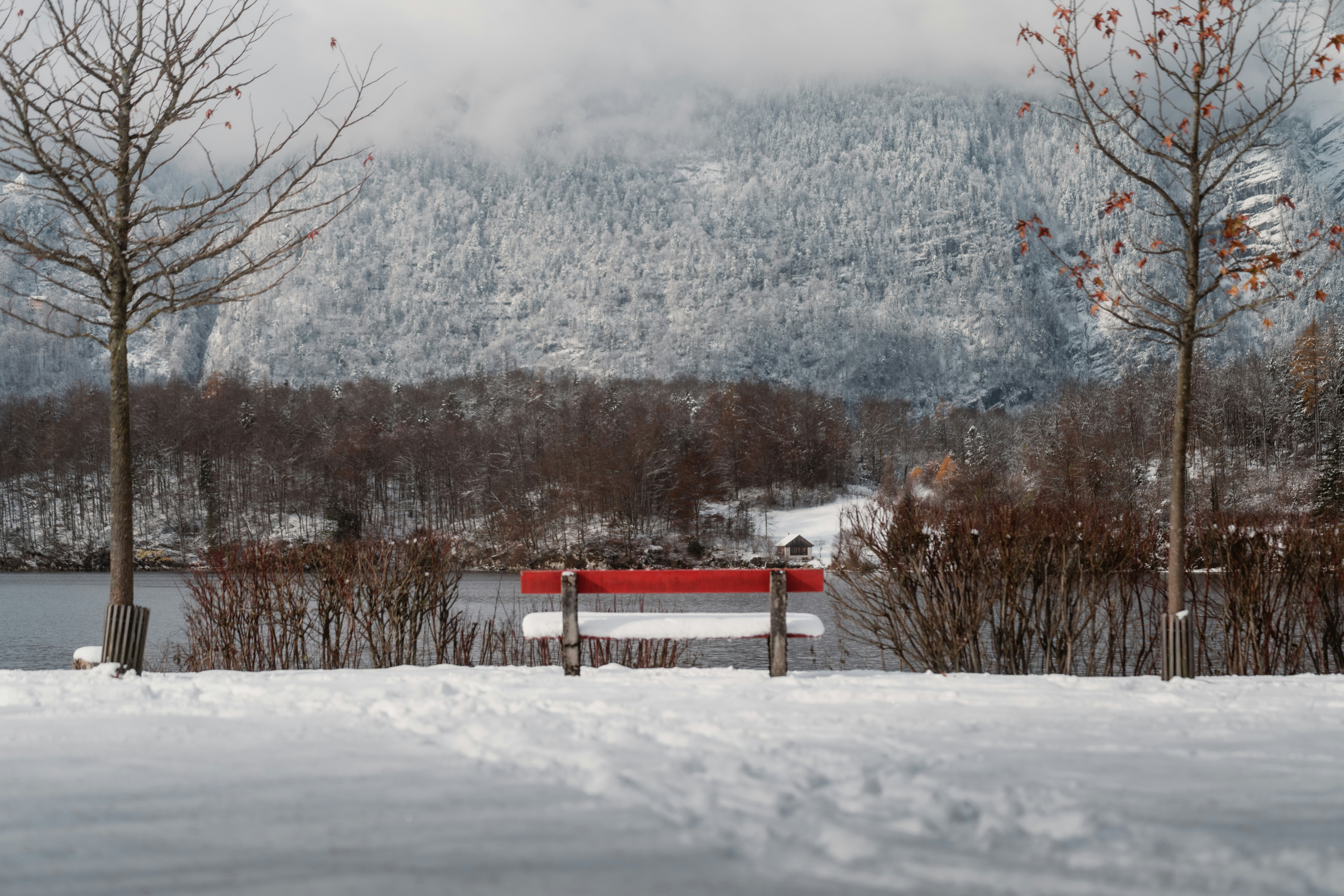 Red Snow Bench Beneath a Quiet Winter Panorama