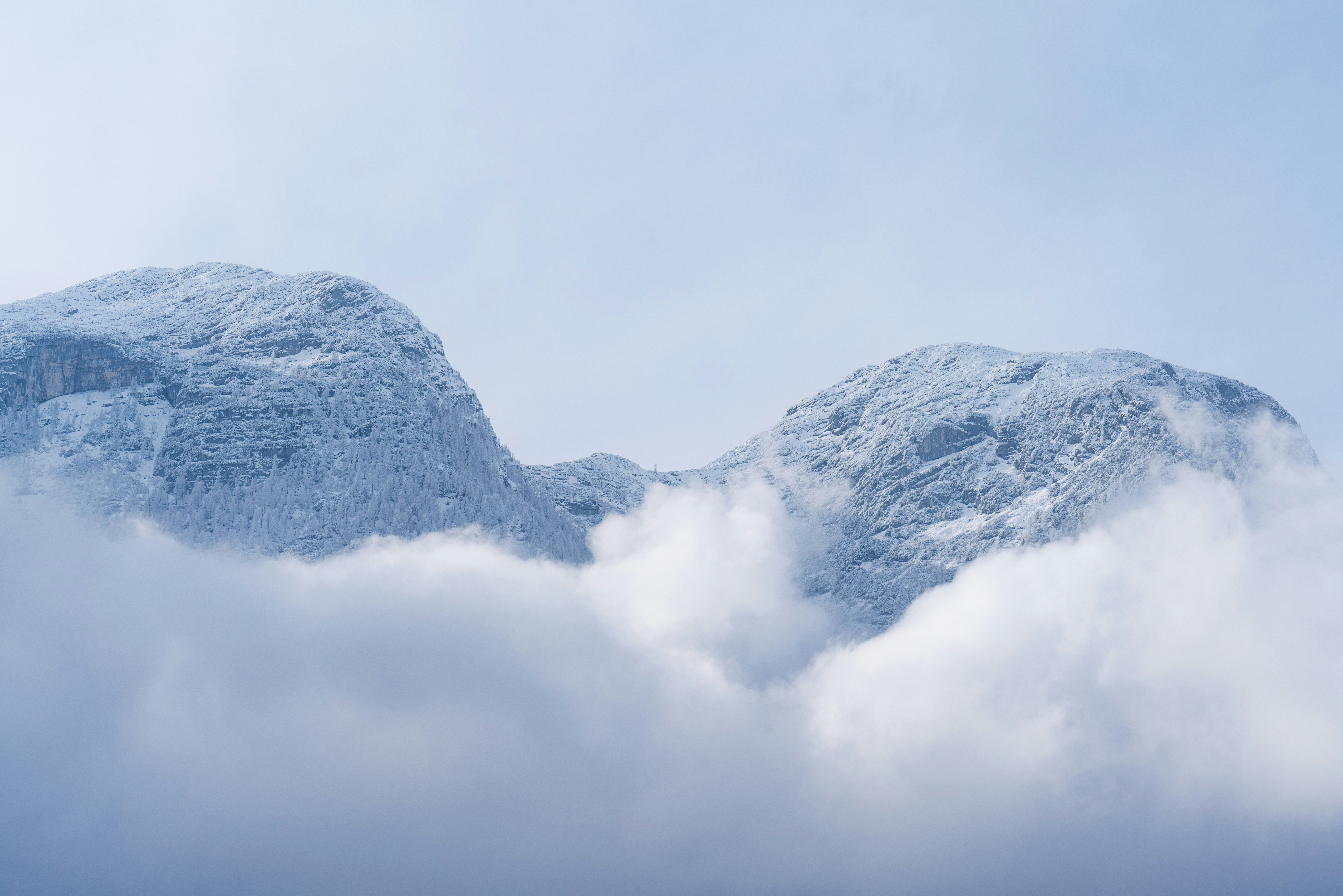Snowed Prominence: Cloud-Wedged Peaks Emerging Above the Mist