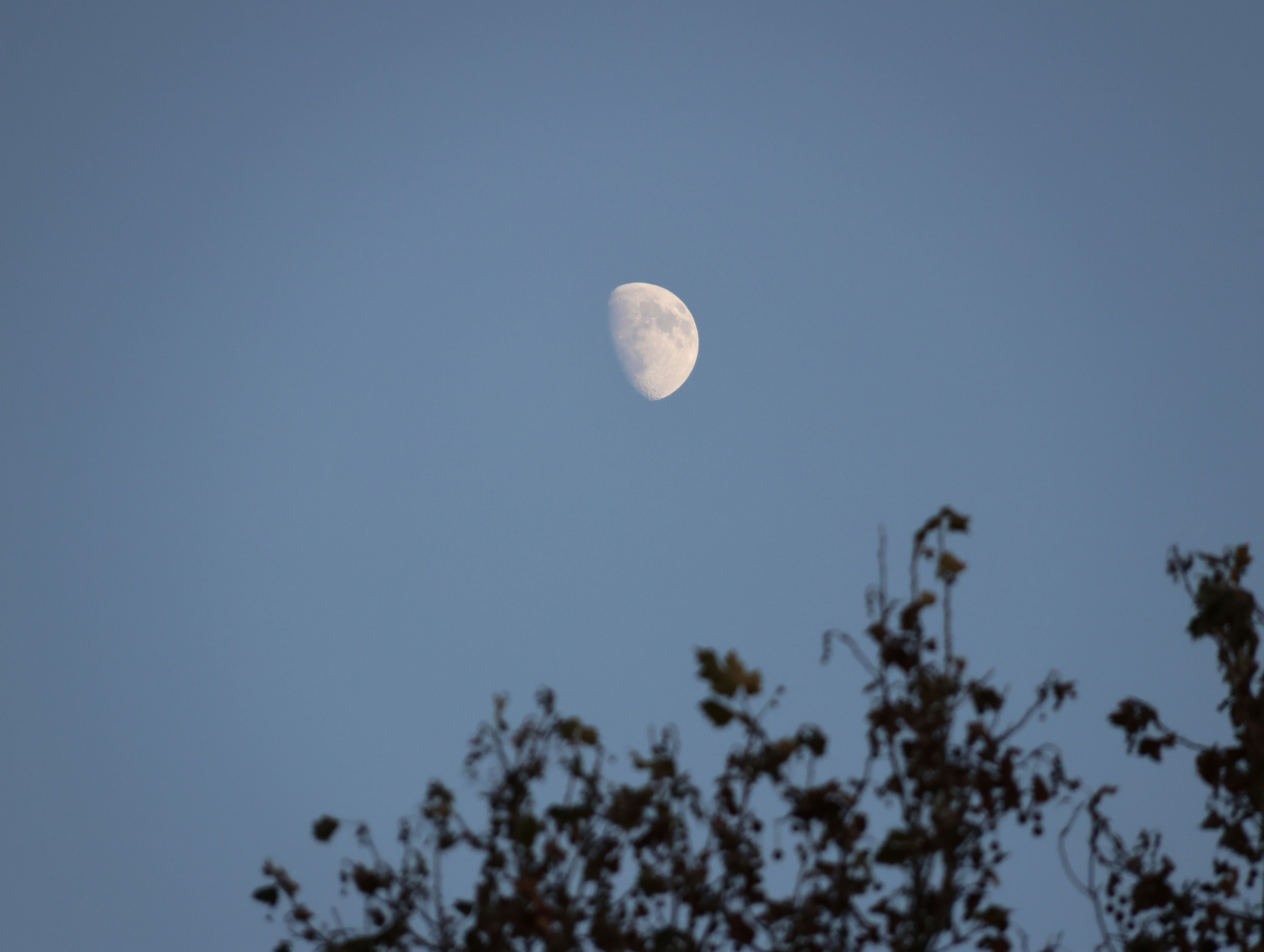 Photo by gu xiaoyu with Canon EOS R7