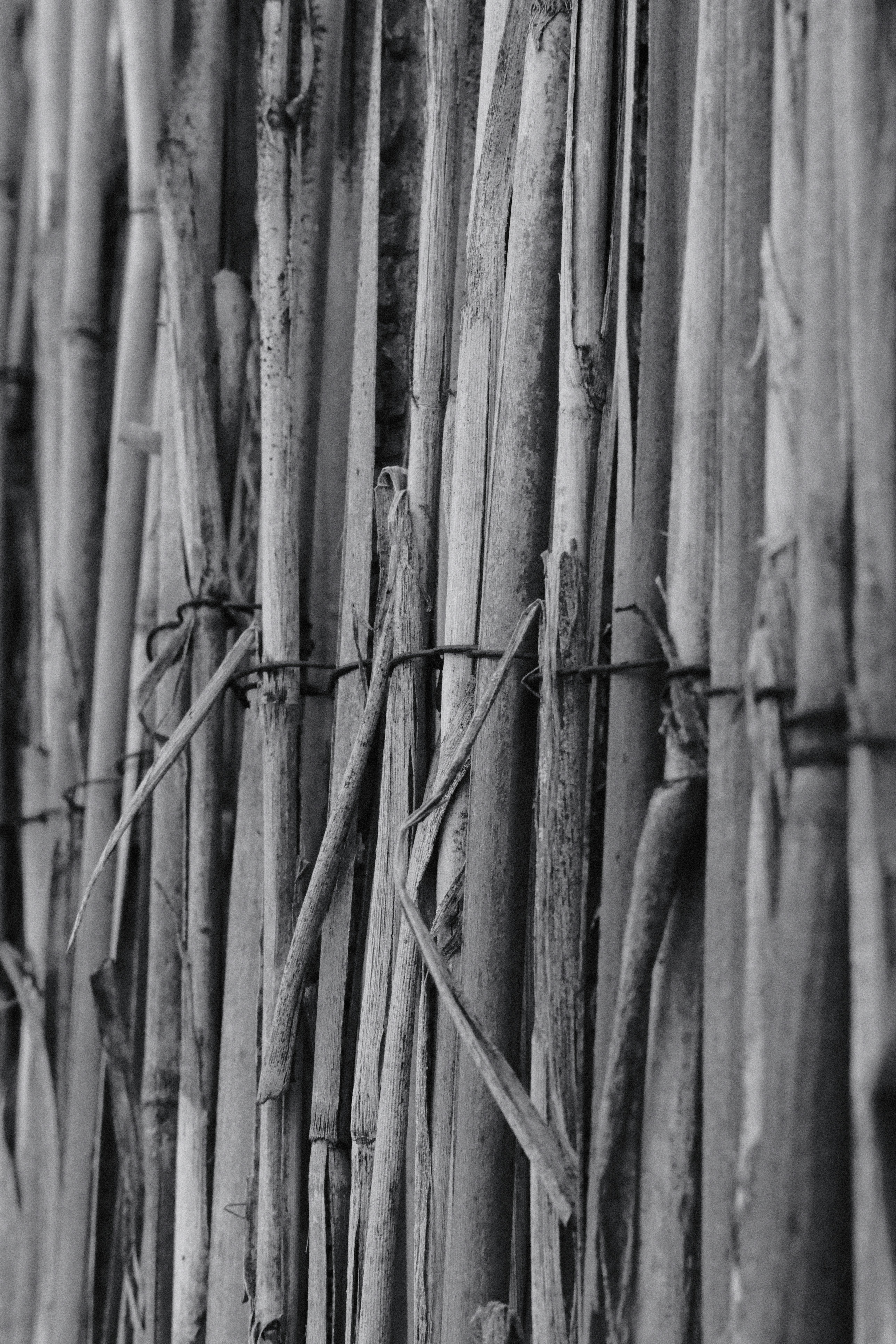 Photo by Tatev Ayvazyan with Fujifilm X-T5