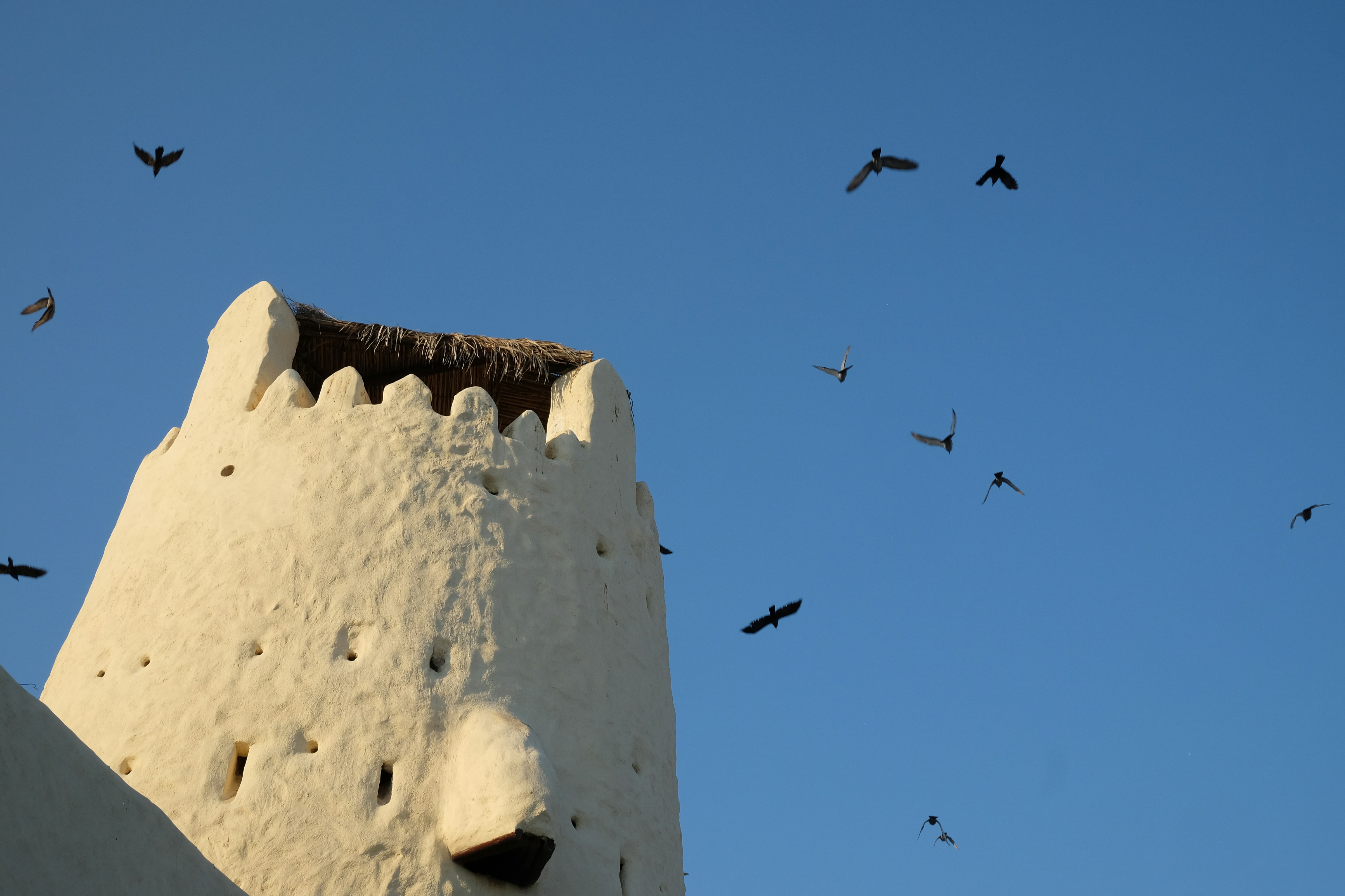 Photo by Vanburn Gonsalves with Fujifilm X-T10