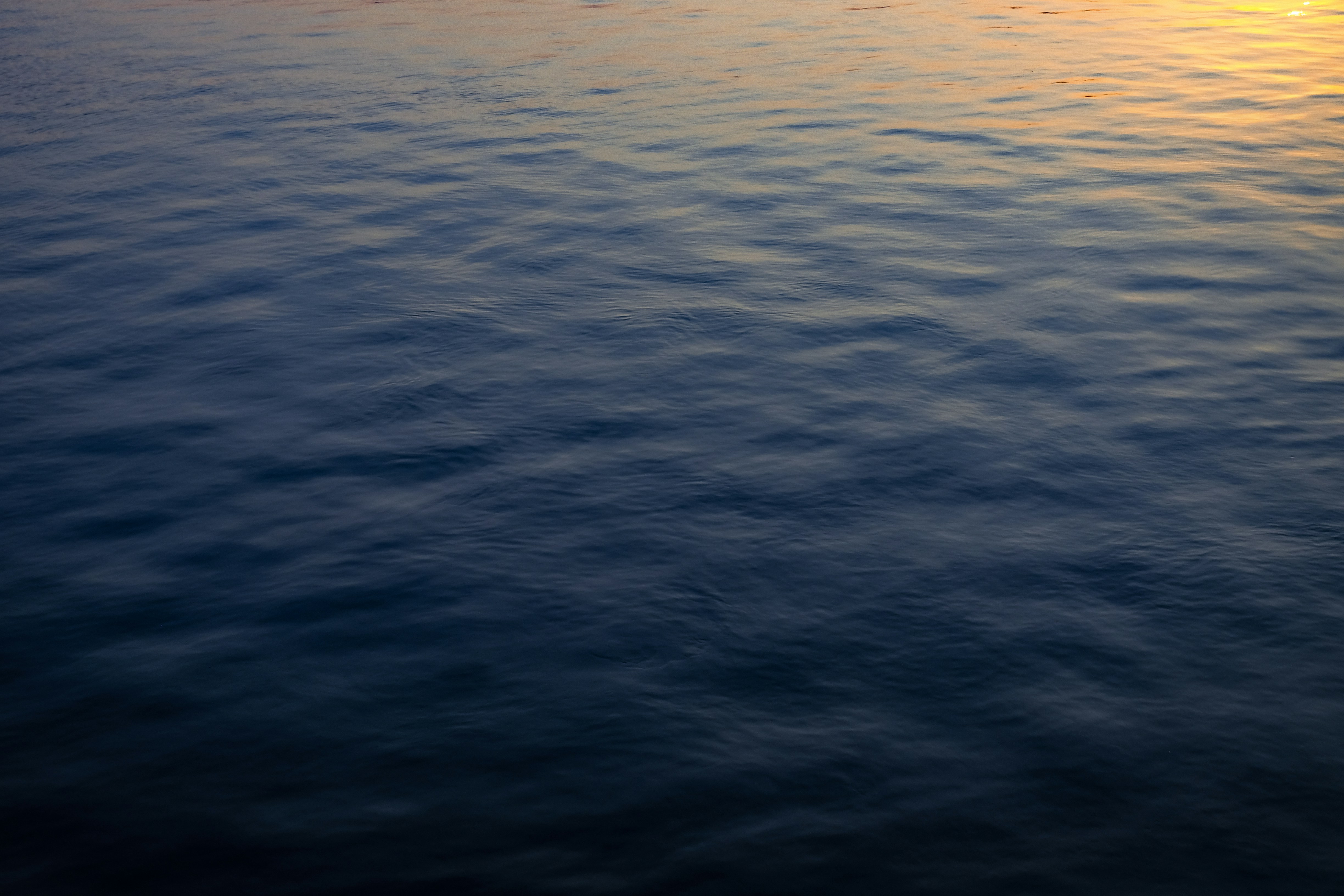 Photo by Vanburn Gonsalves with Fujifilm X-T10