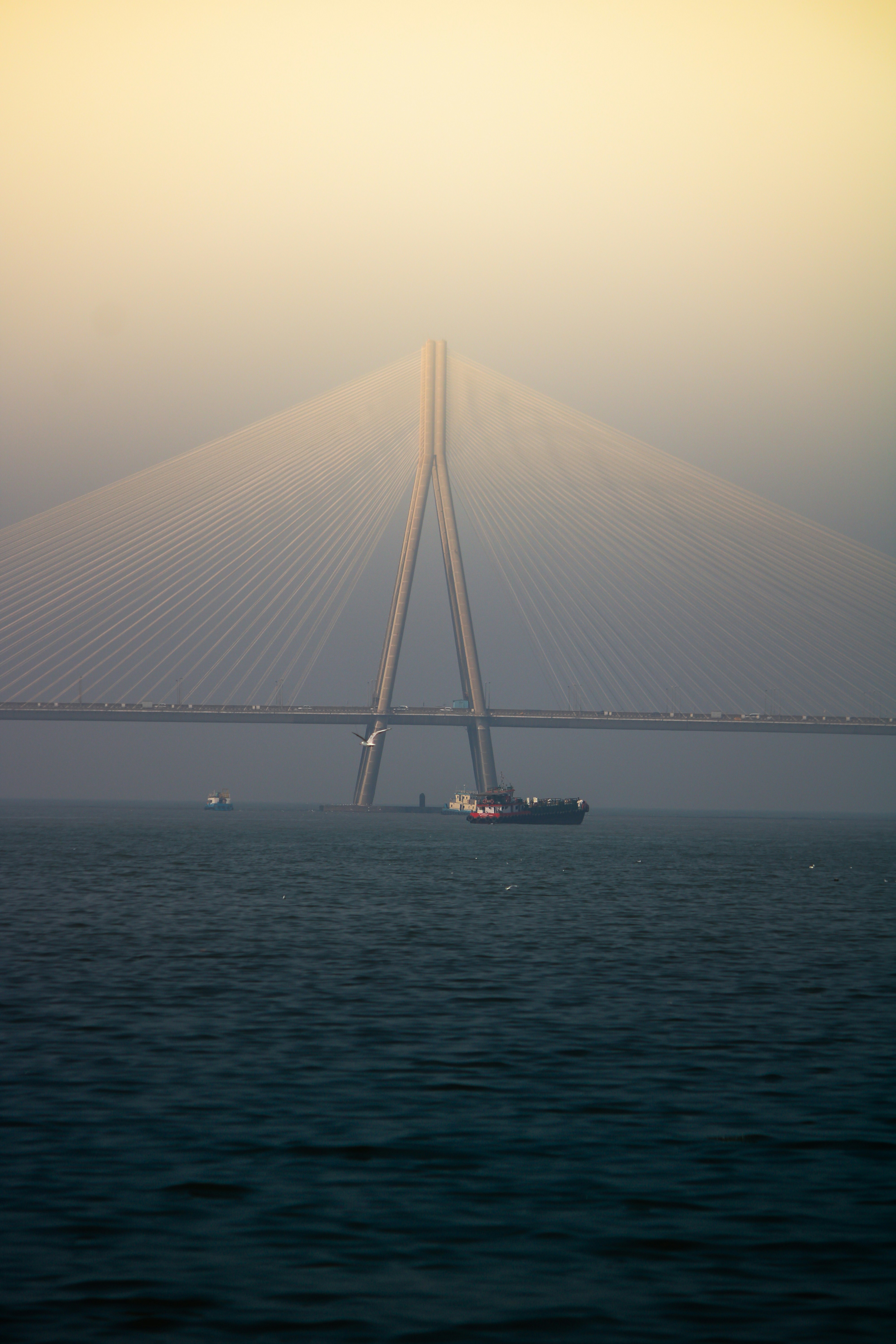 Cable-stayed bridge over the ocean with a boat. photo – Free Sea Image ...