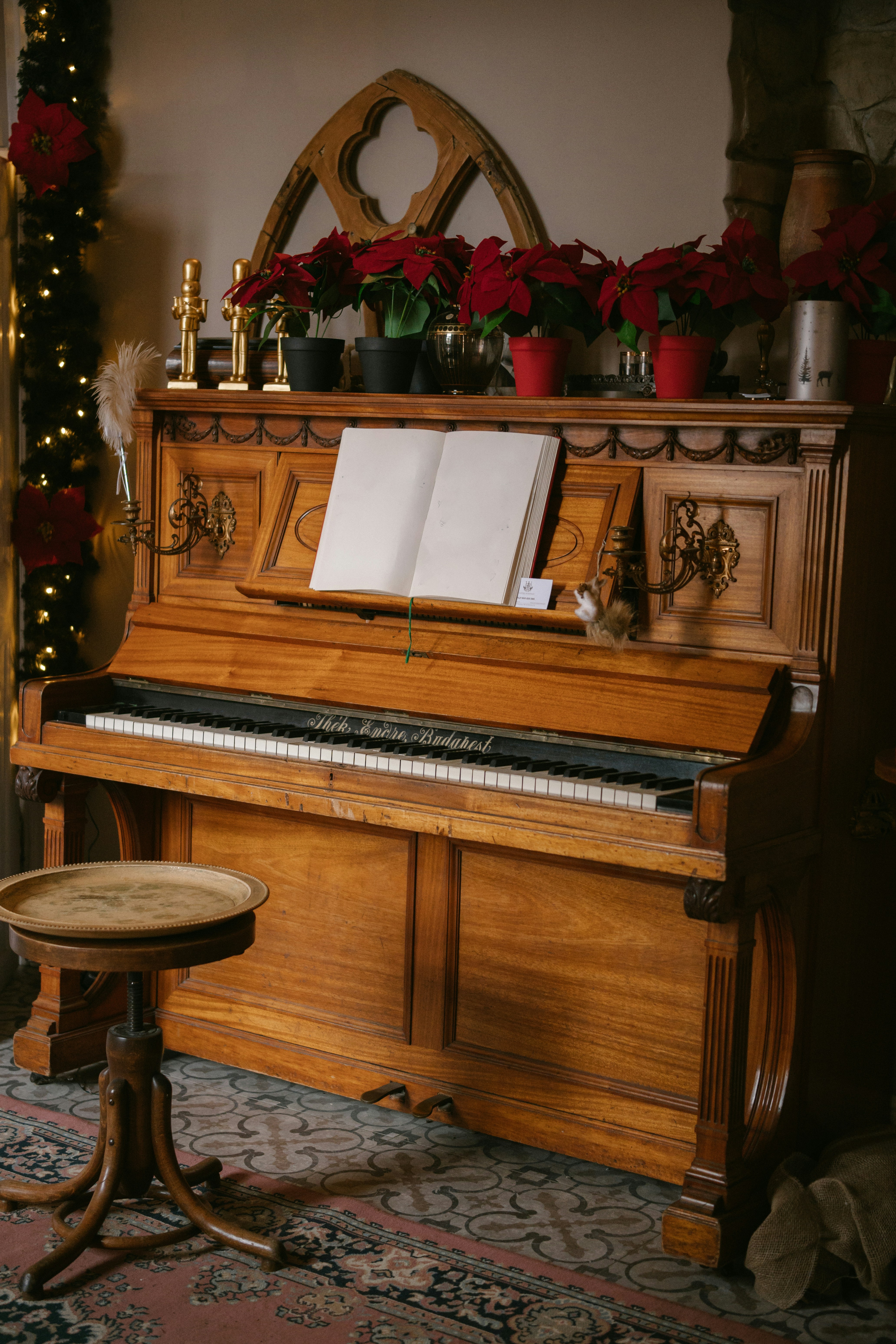 Photo by Raymond Petrik with Sony Sony ZV-E10 II