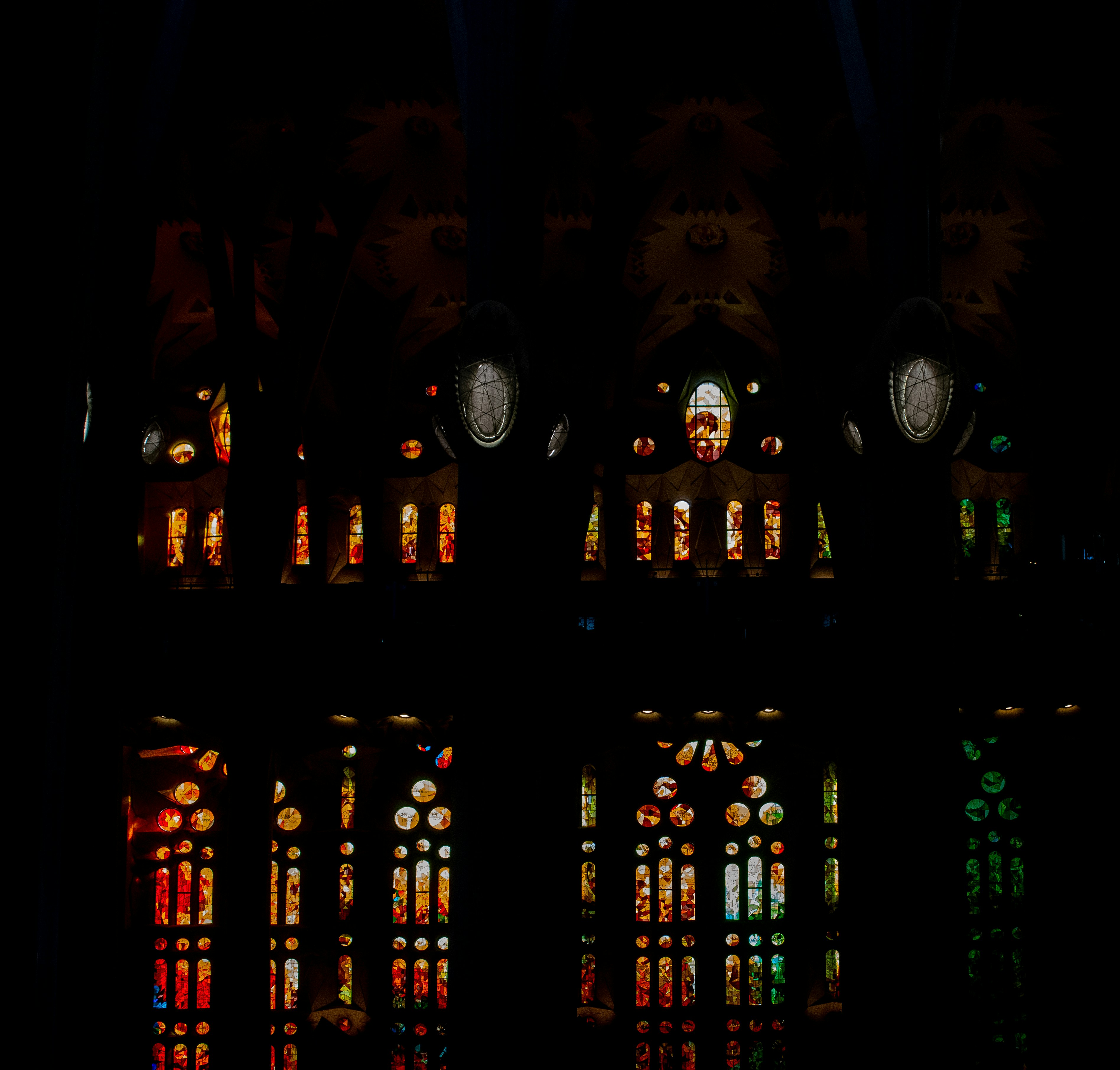 Photo by SOHAM BANERJEE with Nikon D500