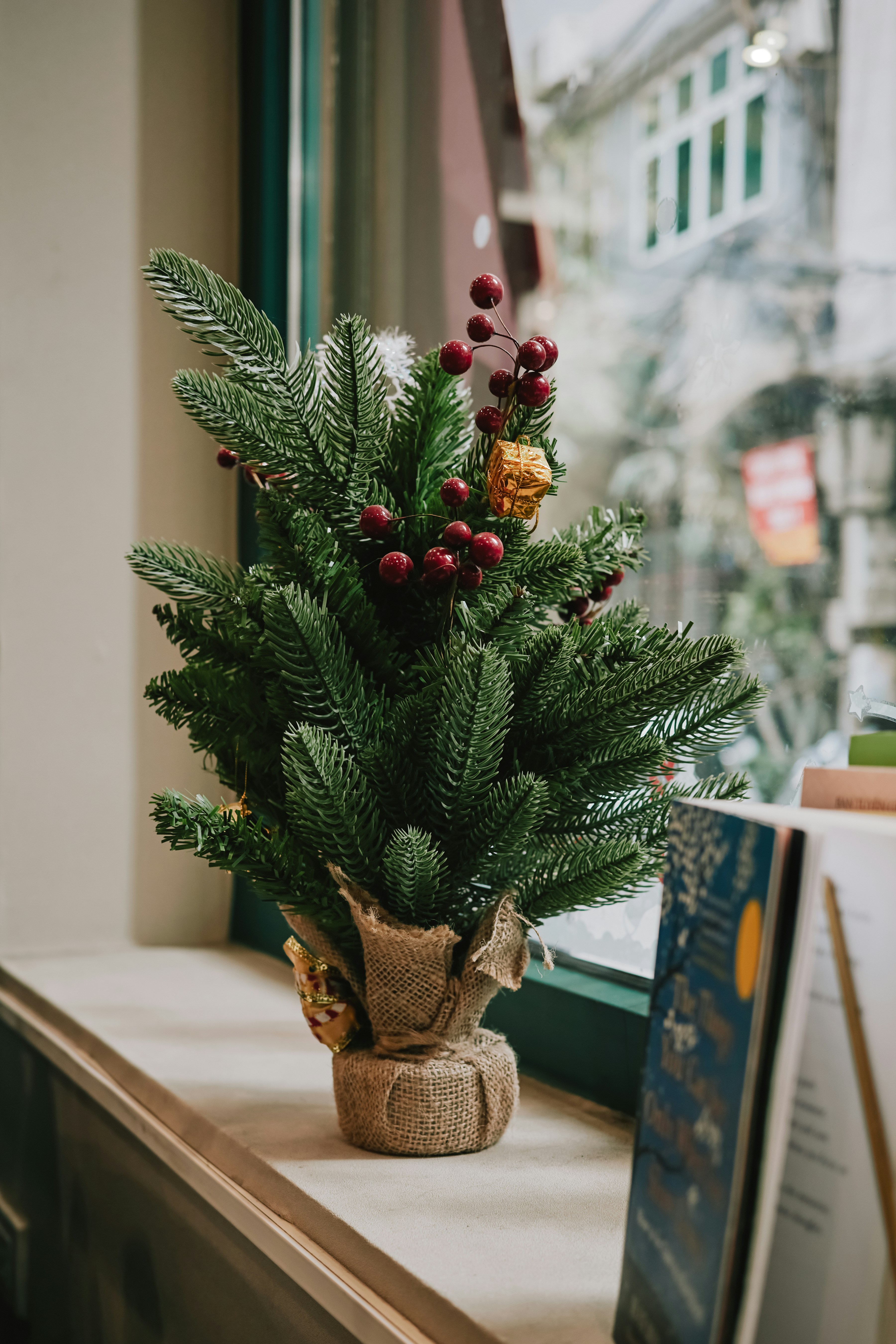 Festive Pine on a Window Sill: Burlap Wrapped Greenery by the Light