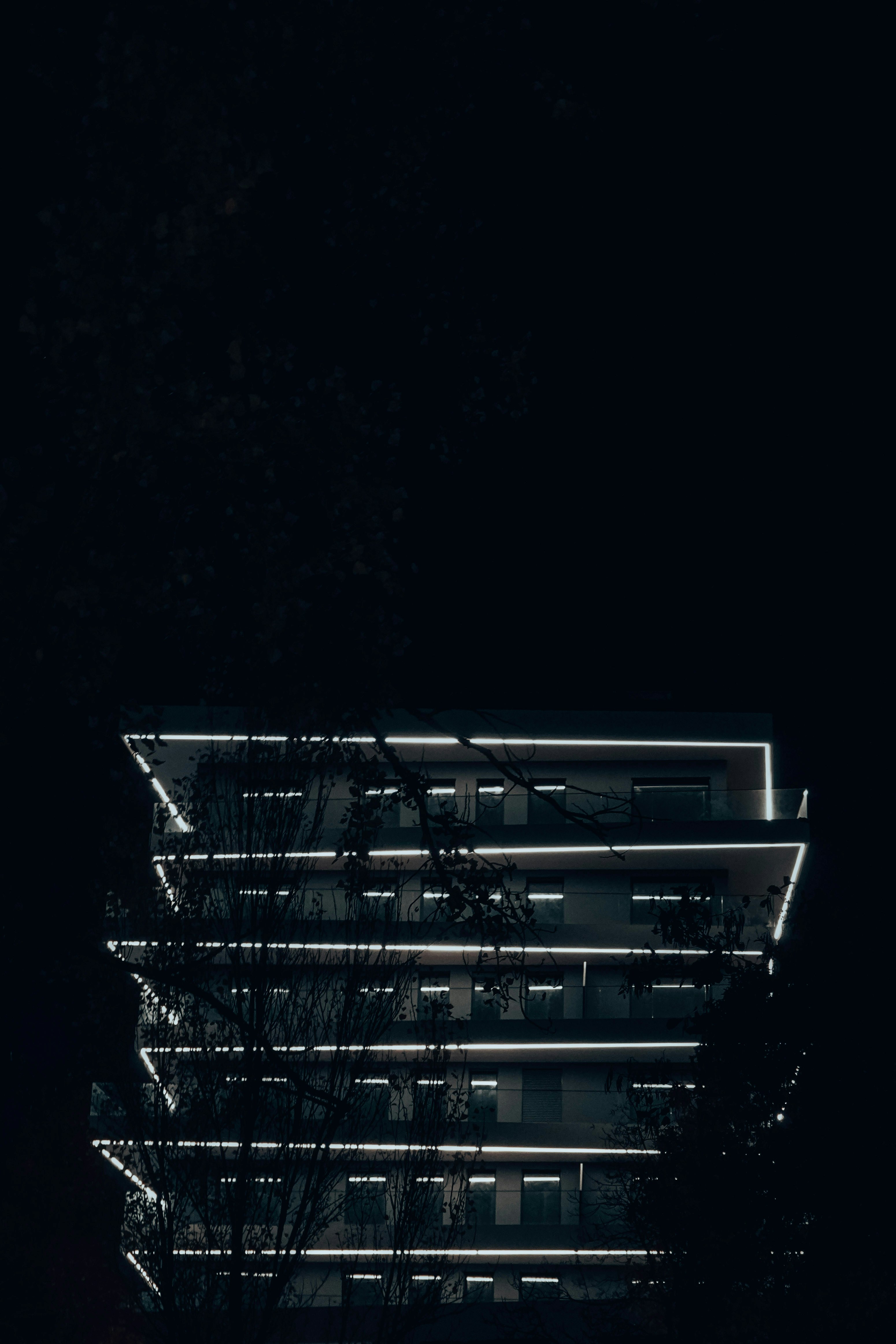 A quiet building glows in the darkness, its sharp LED lines carving a futuristic shape against the night sky. Hidden behind the silhouettes of winter trees, the structure feels both distant and intimate, a slice of modern architecture floating in the quiet of the city.