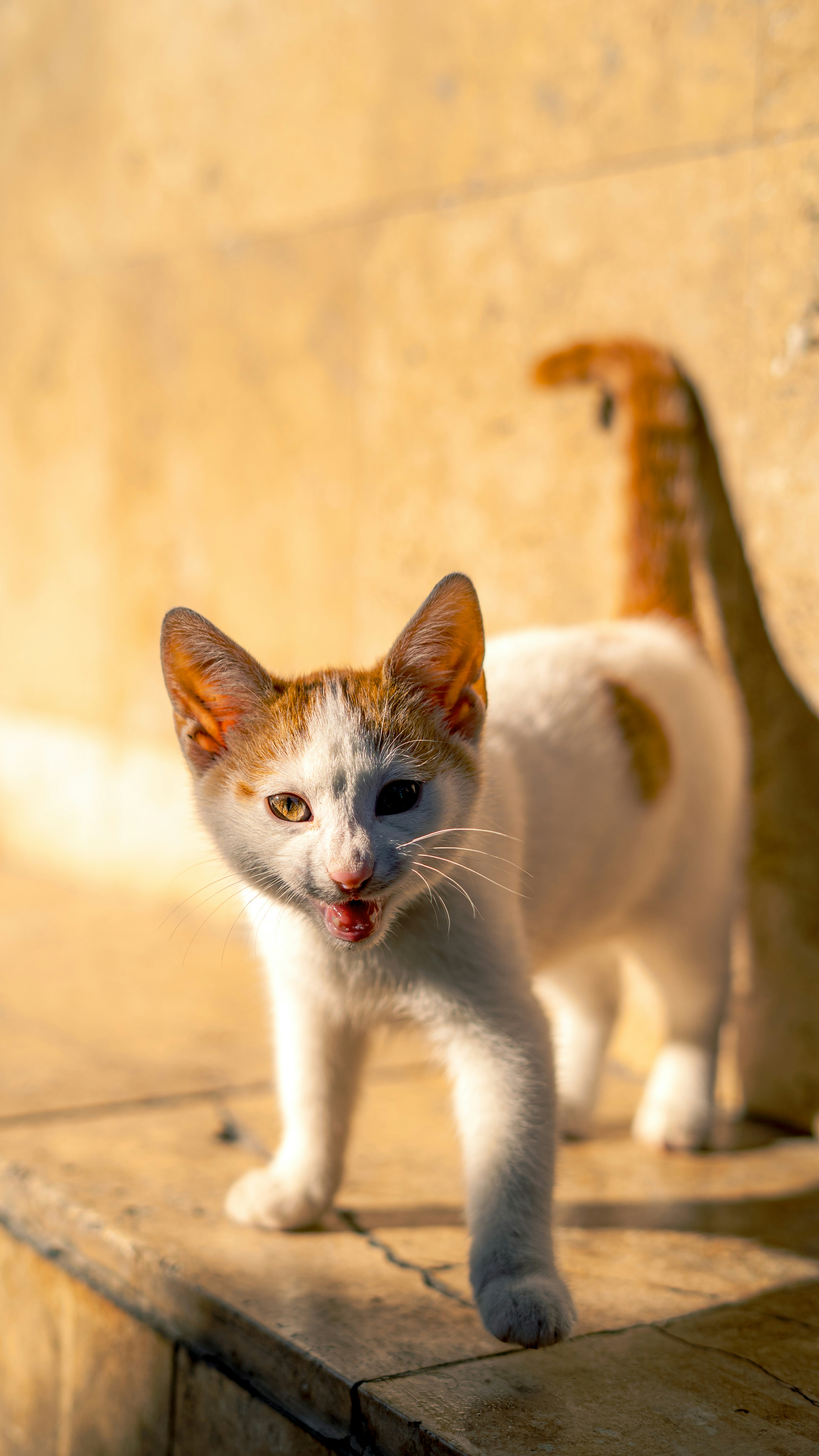 Photo by Kilic-Emre Akdag with Sony Alpha 7 III