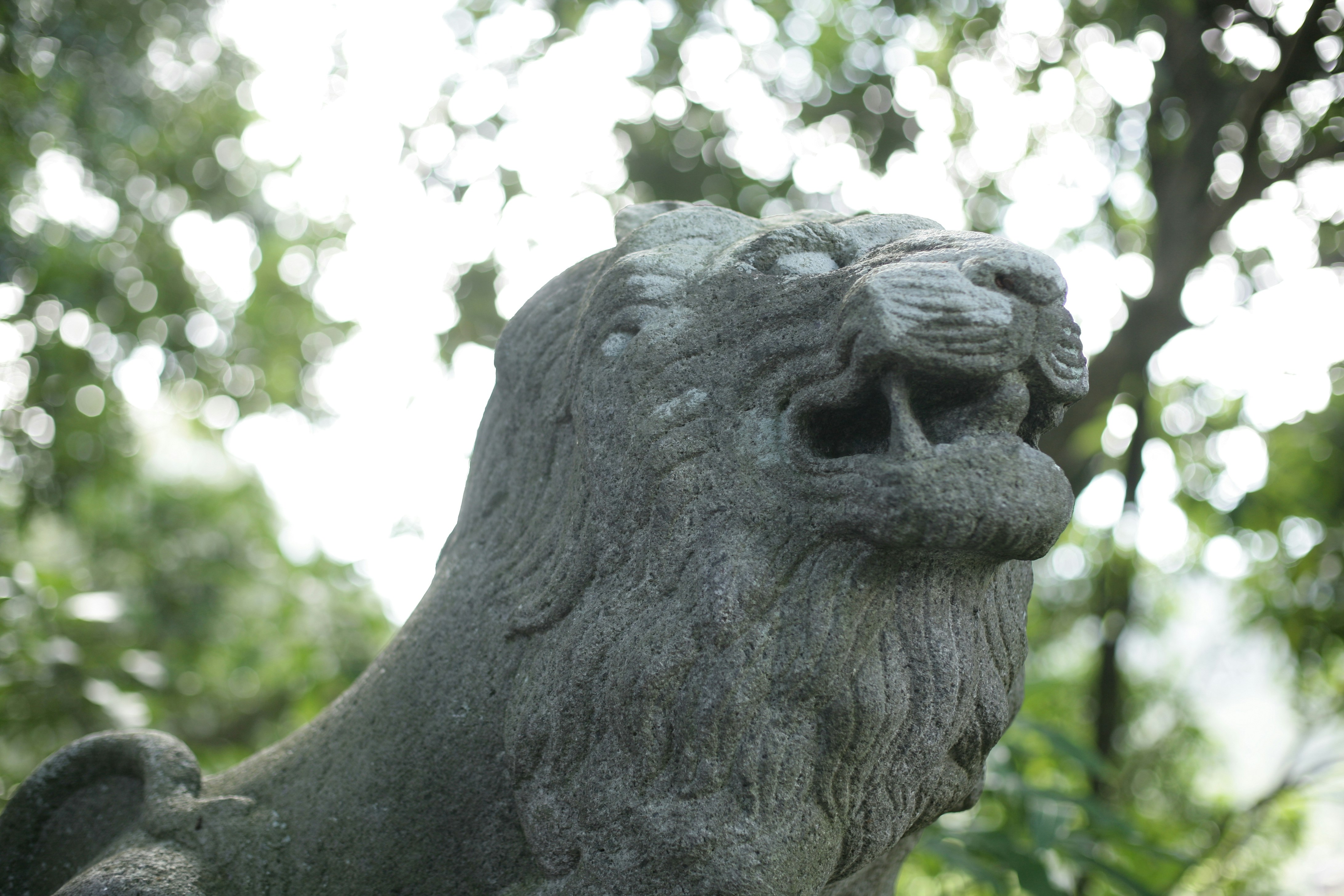 Photo by MChe Lee with CANON EOS 5D