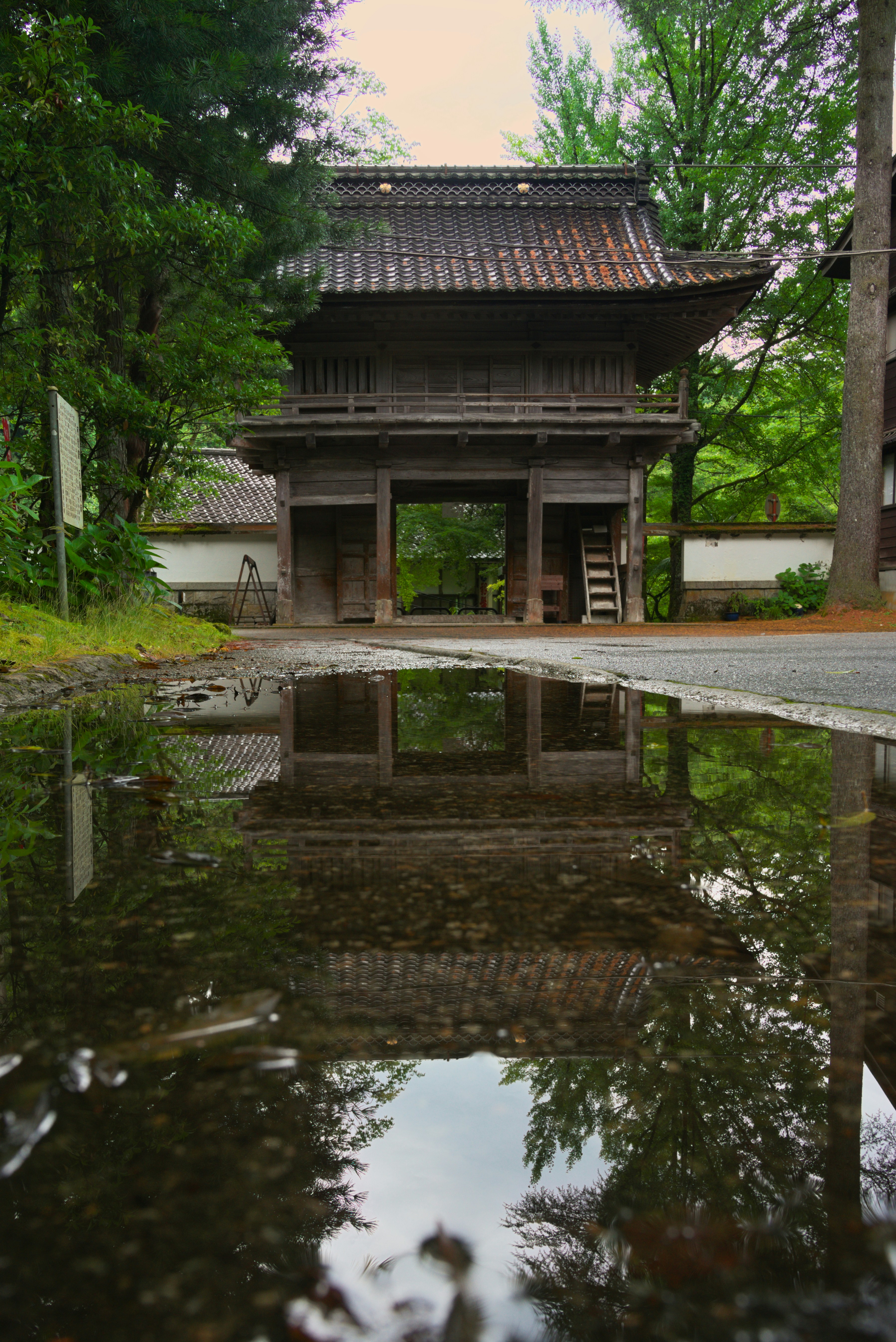 Gatekeeper in the Rain–Worn Temple Portal Reflected on Puddled Stones