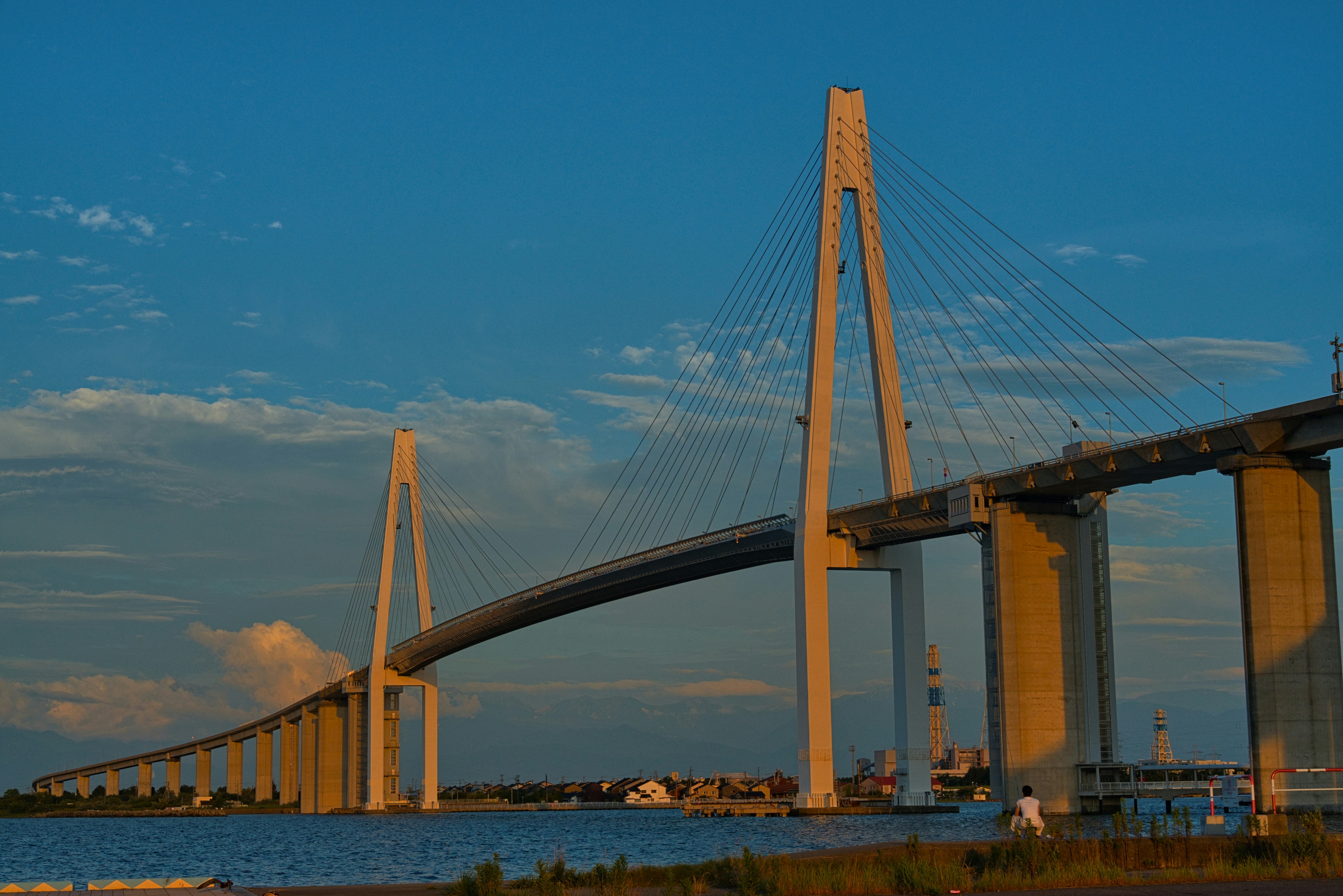 Suspended Cable-Stayed Arc: A Coastal Bridge at Golden Hour