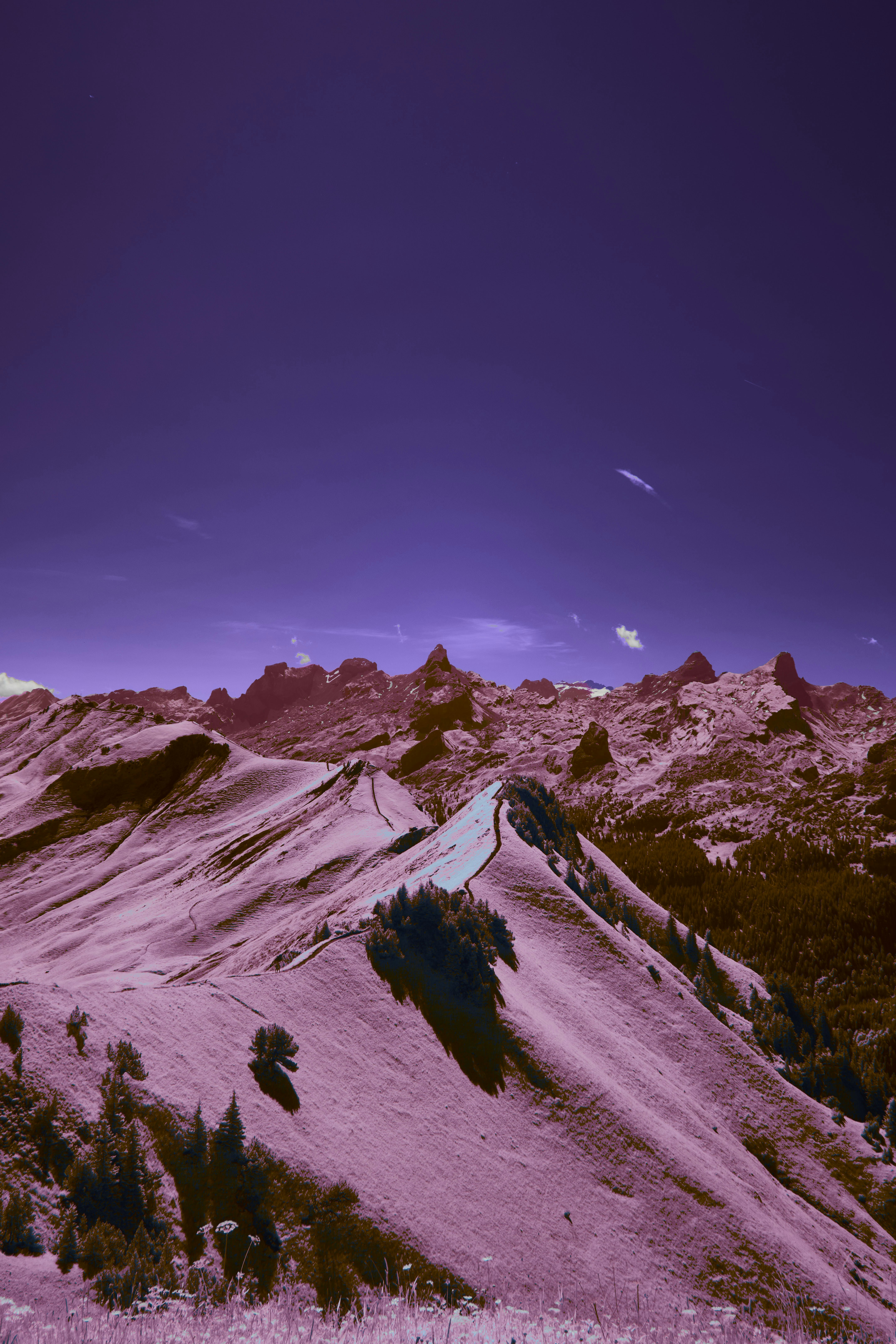 Photo by Wolfgang Hasselmann with Sony Alpha 7 IV