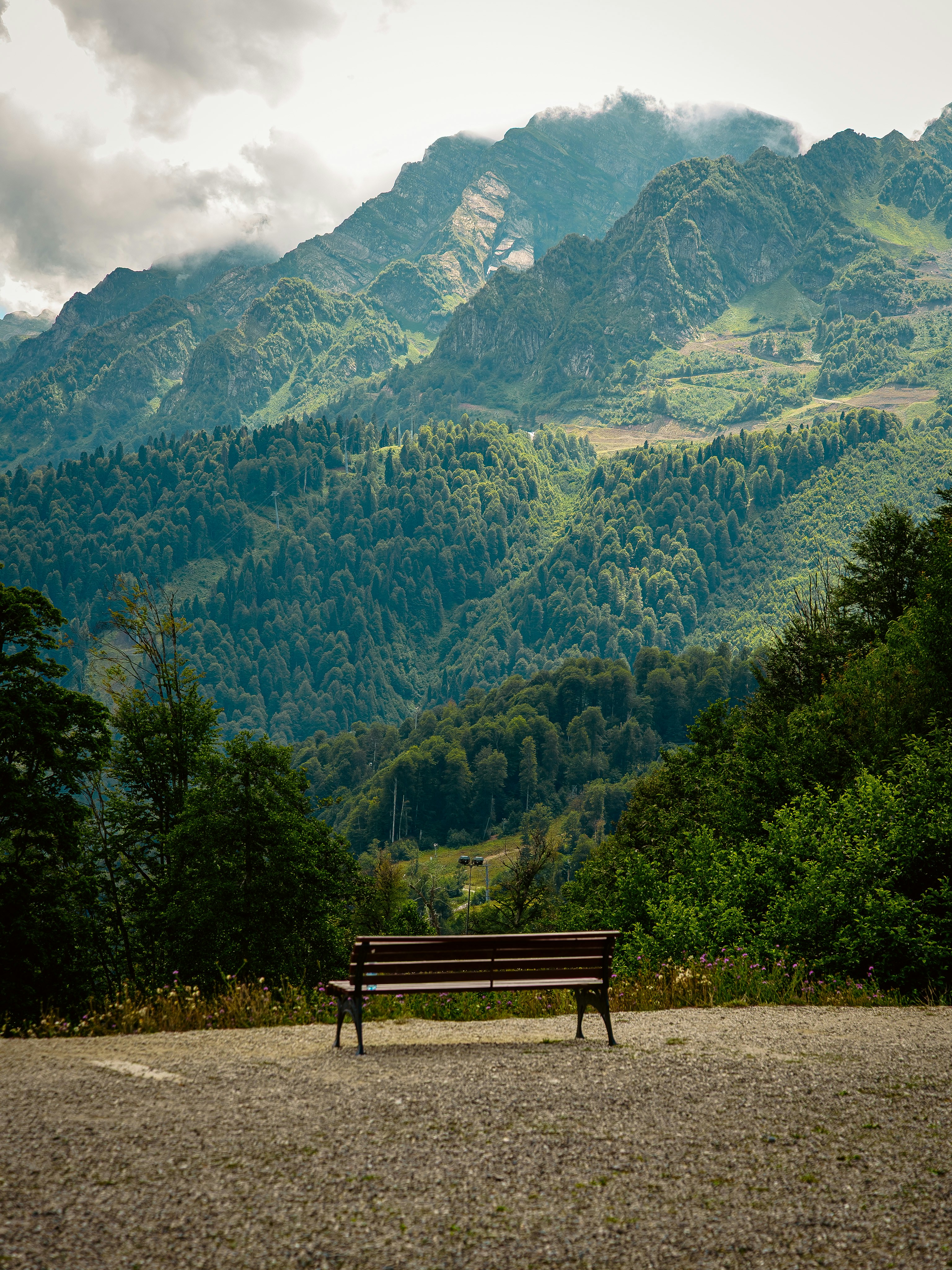 Solitary Bench on a Mountain Rim