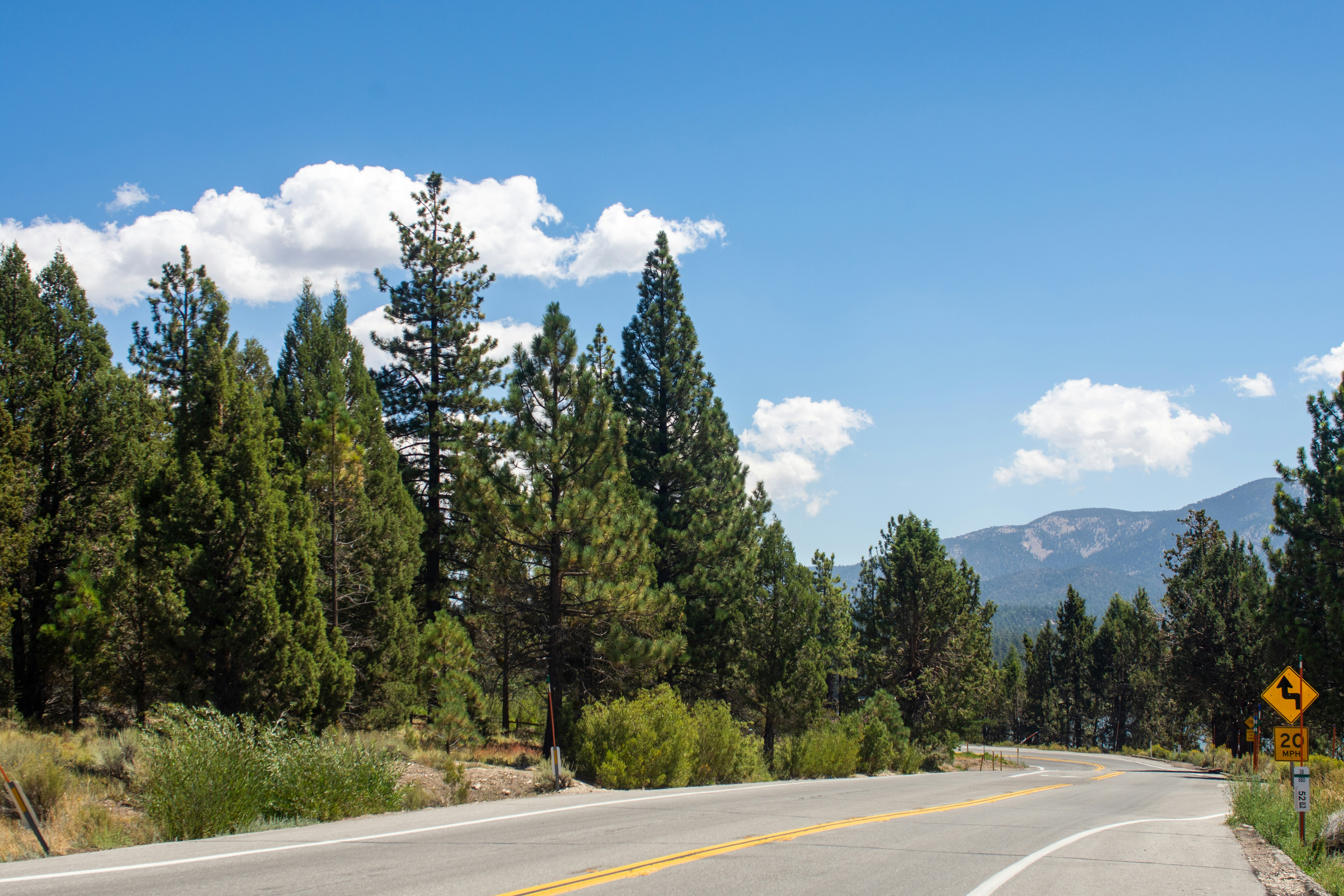 Photo by Steve Marquez with Nikon D7200